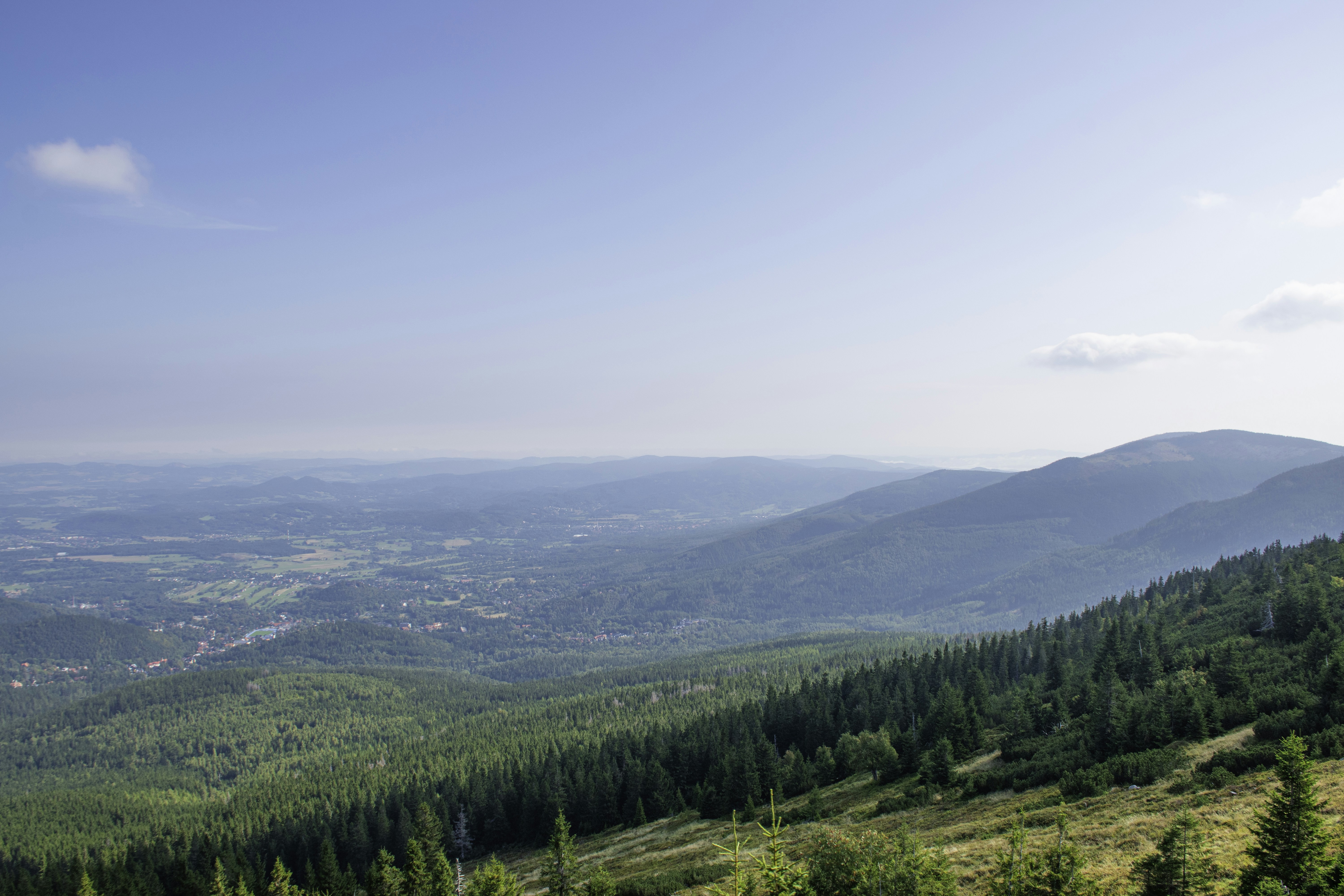 Whispers of the Verdant Valley