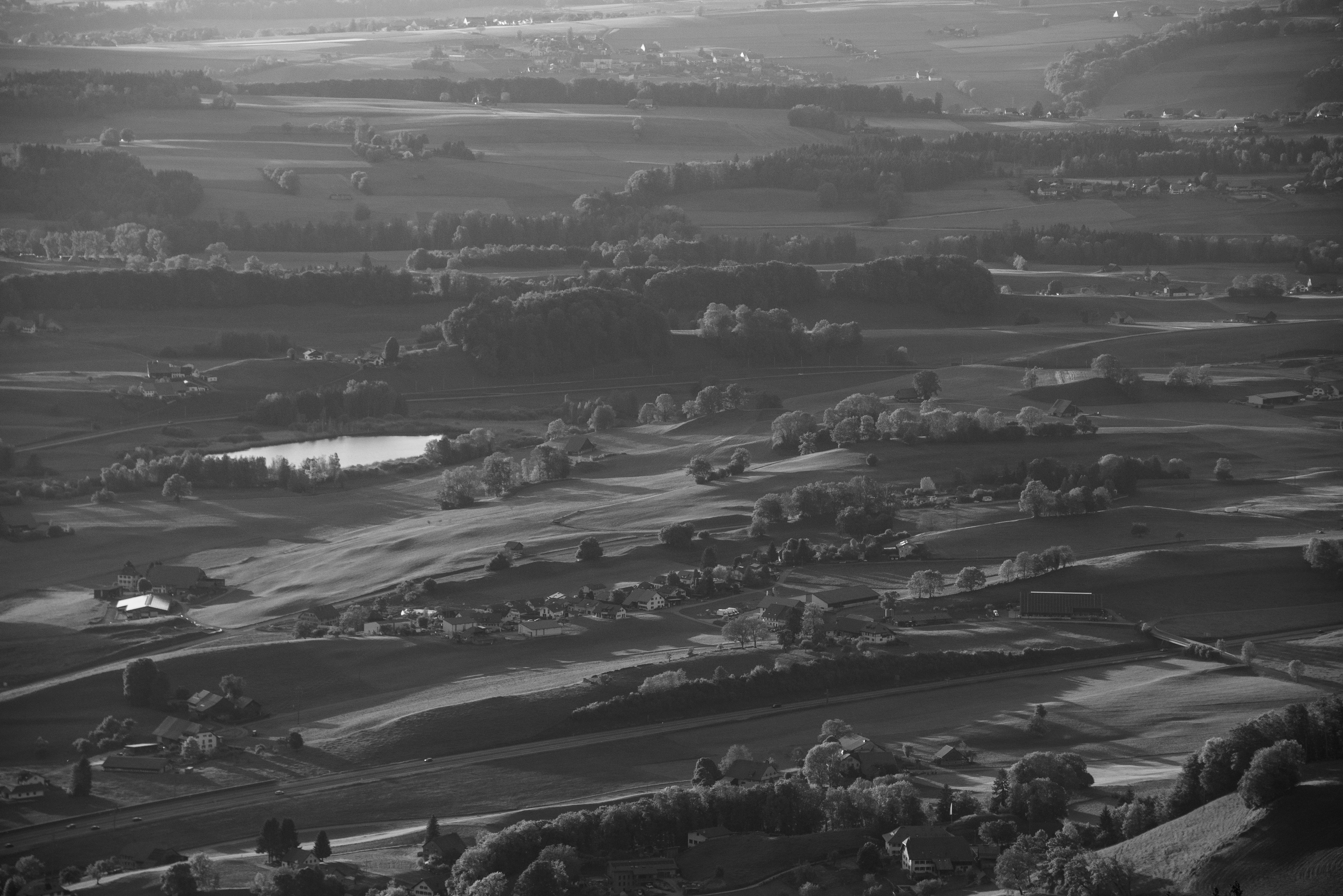 Rolling hills and fields bathed in soft light