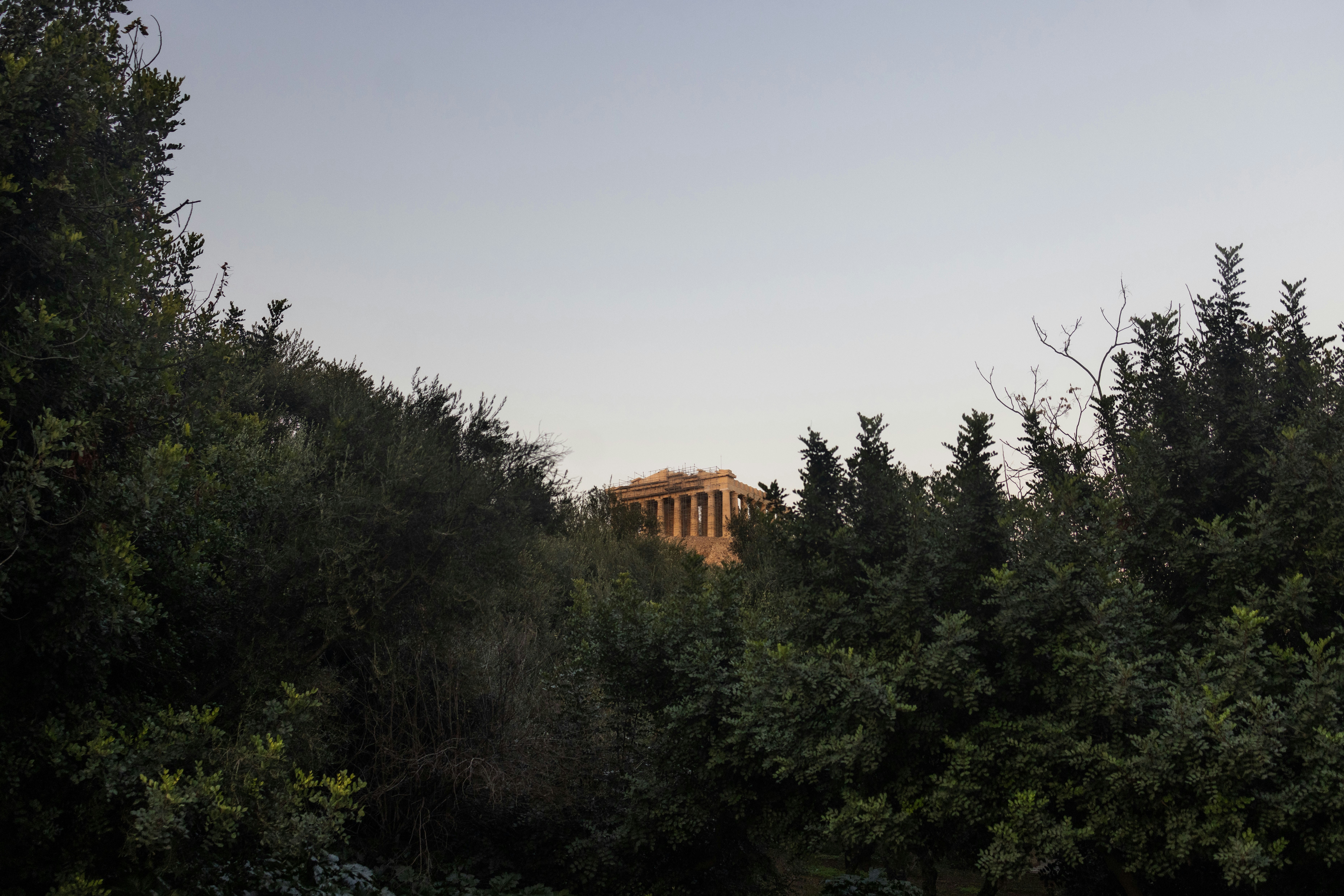 Whispers of Ancient Glory Amidst Lush Greenery