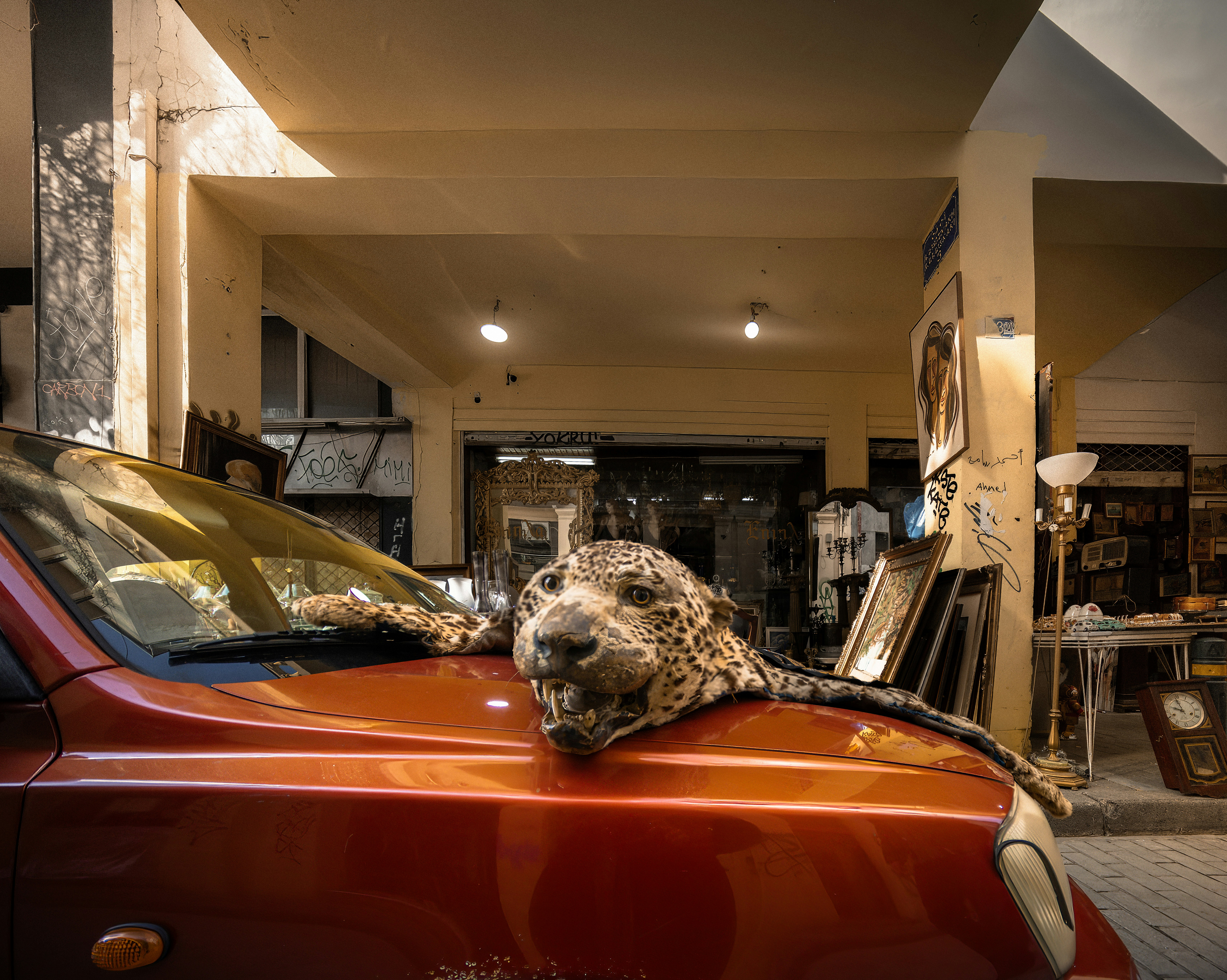 Urban Encounter: The Leopard's Gaze