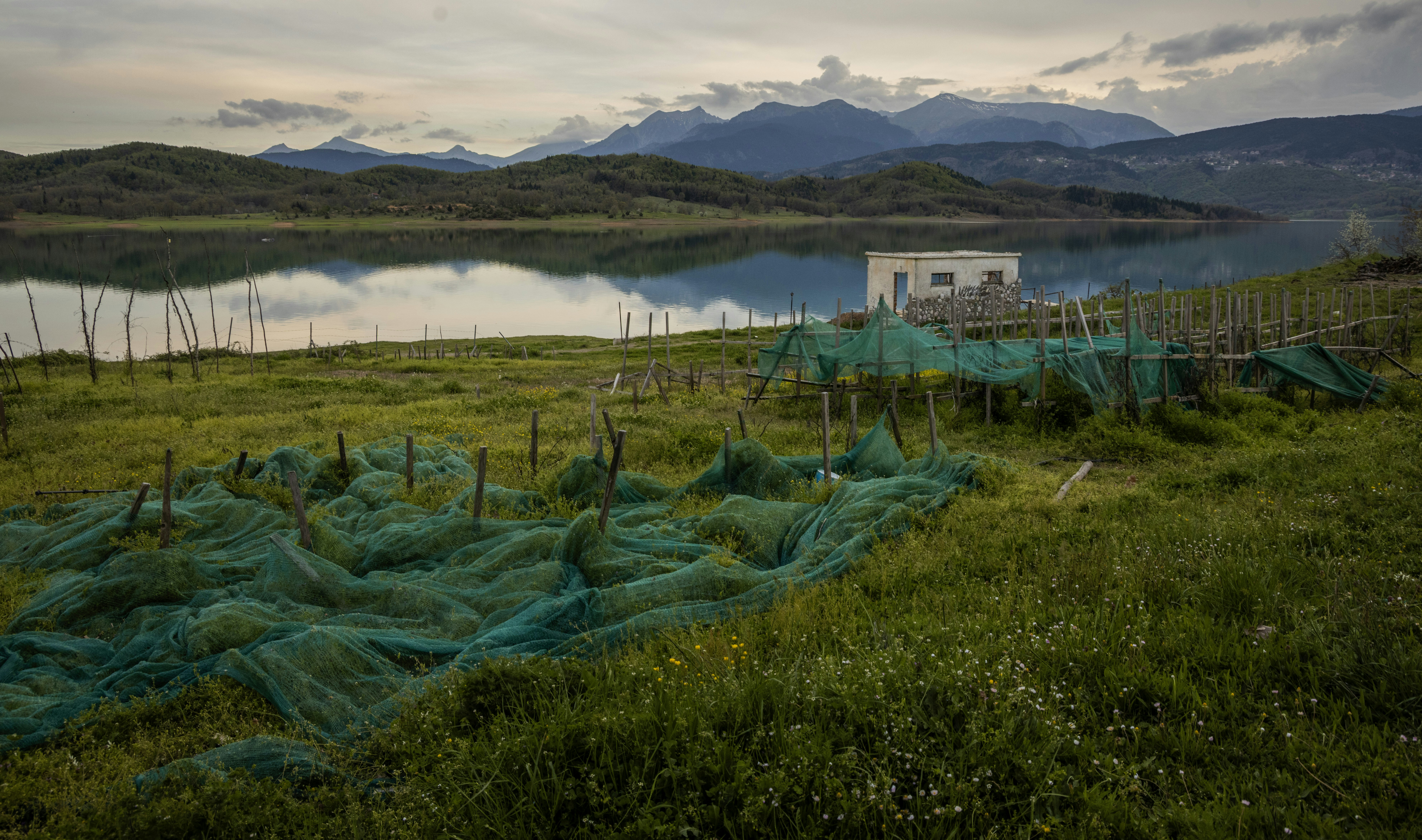 Whispers of the Waterside: A Fisherman's Haven