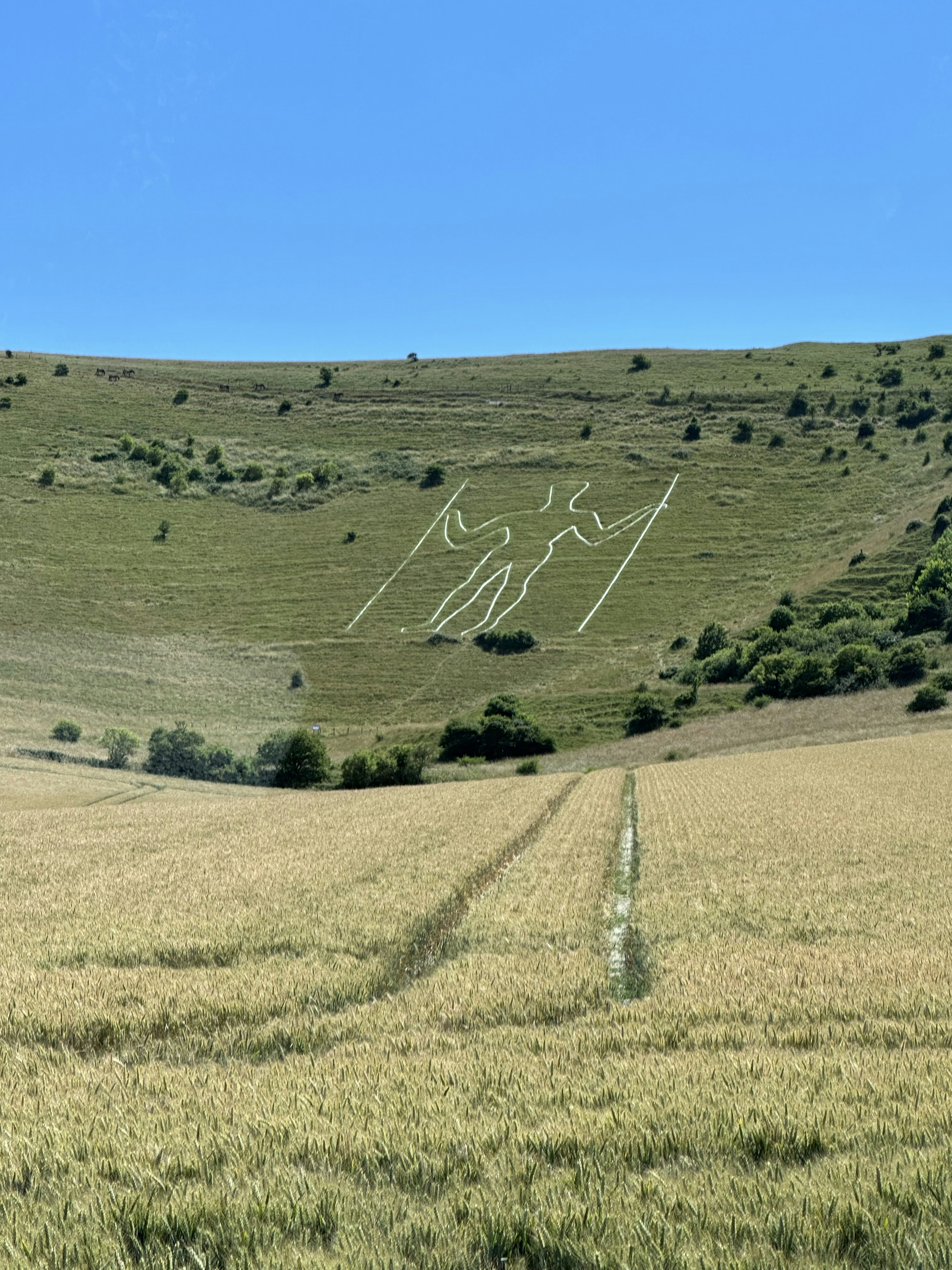 Contour Graffiti on a Sunlit Hillside