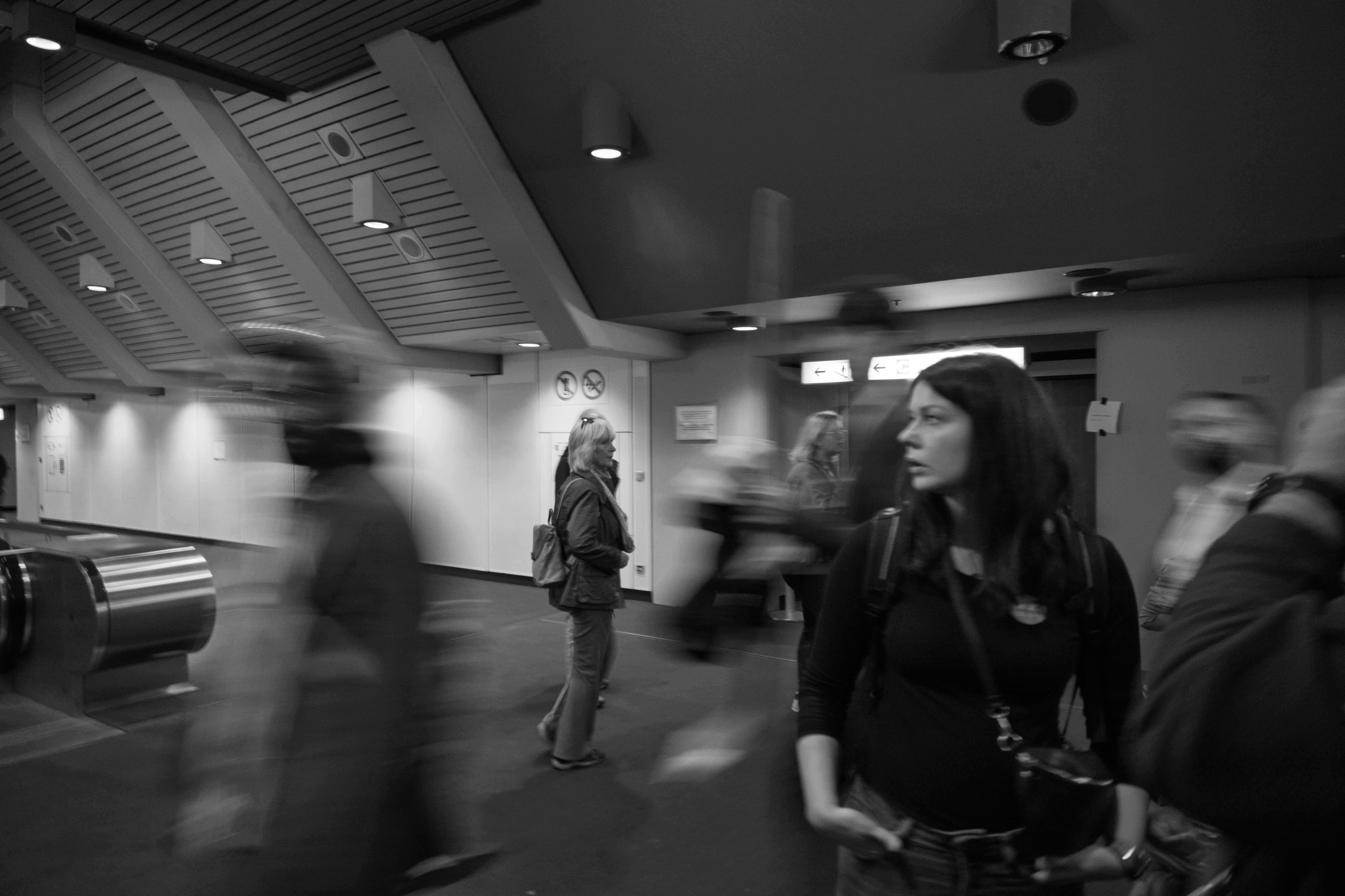 Amidst the Flow: A Moment Captured in Motion