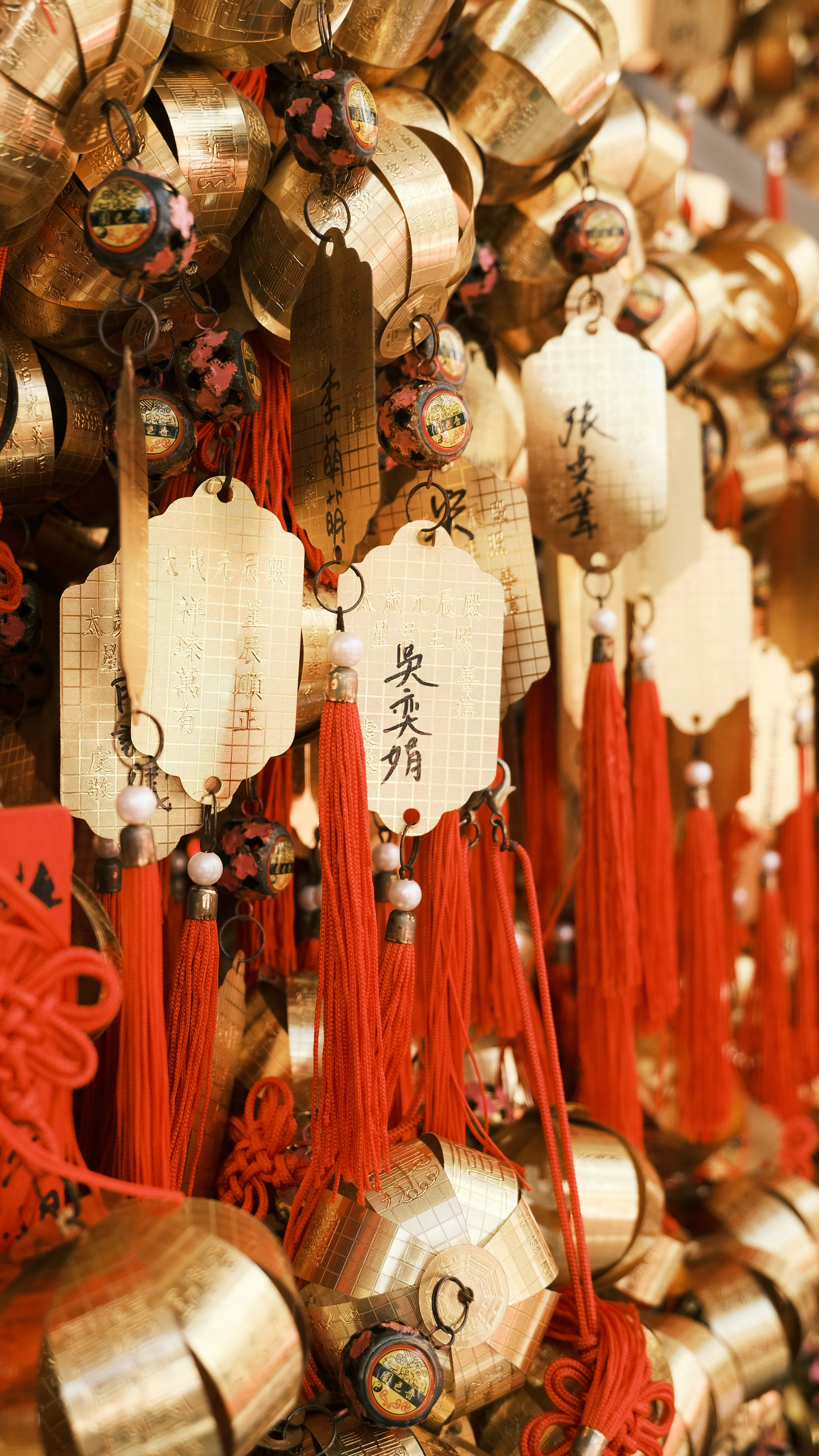 Photo by 瑞秋 Z with Fujifilm X-T30 II