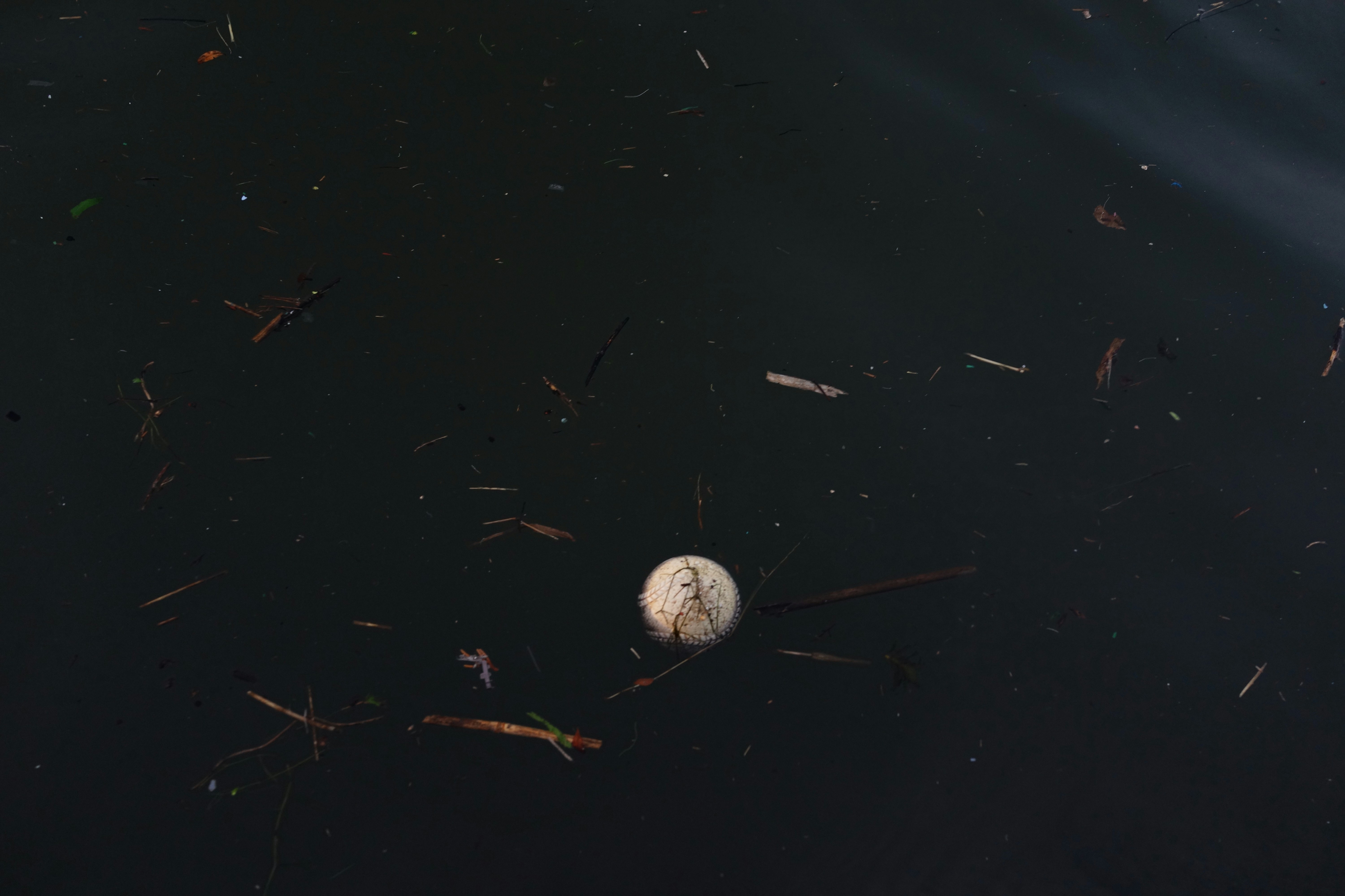 Solitary Sphere: Reflections on Still Waters
