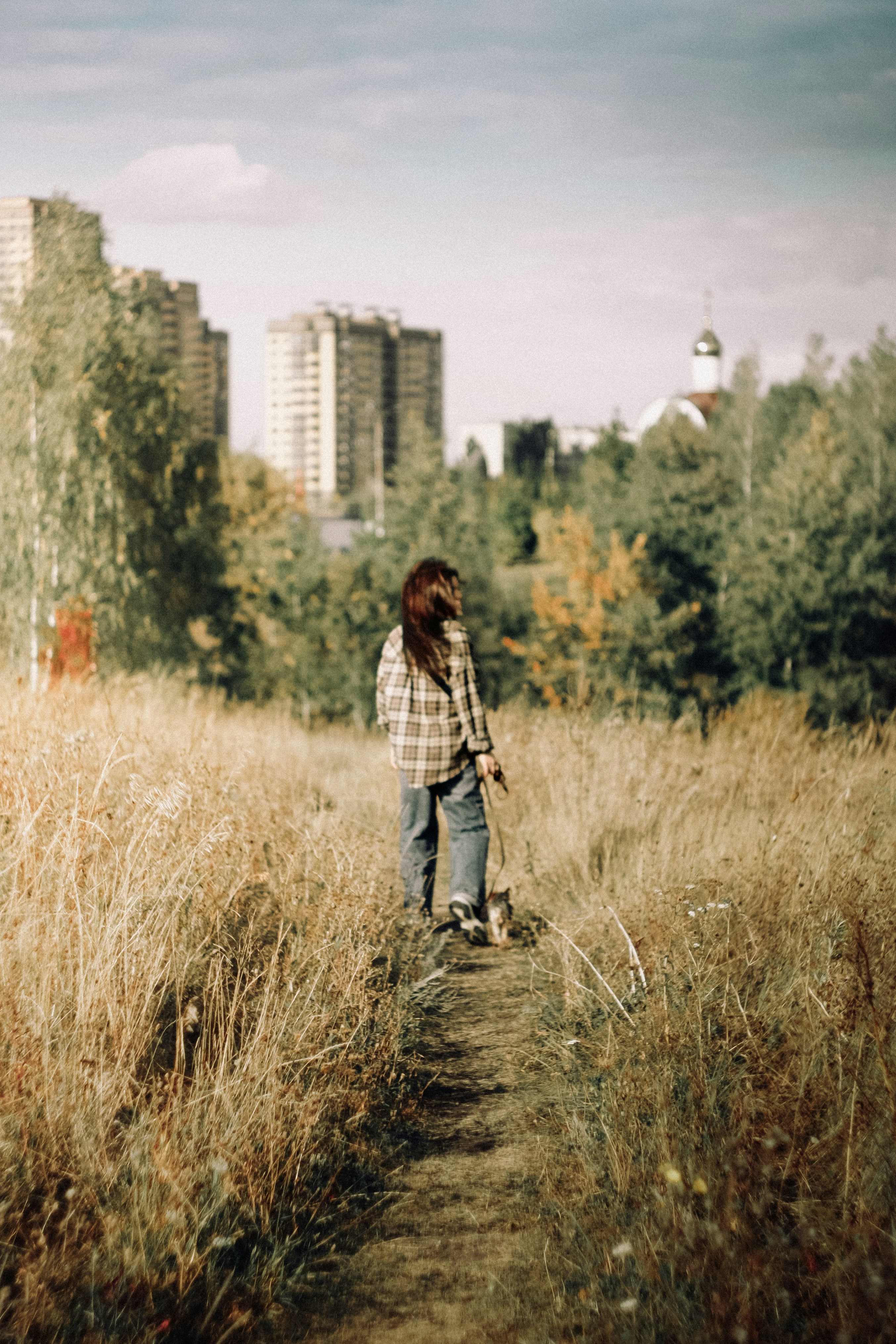 Wanderer Amongst the Golden Grasses