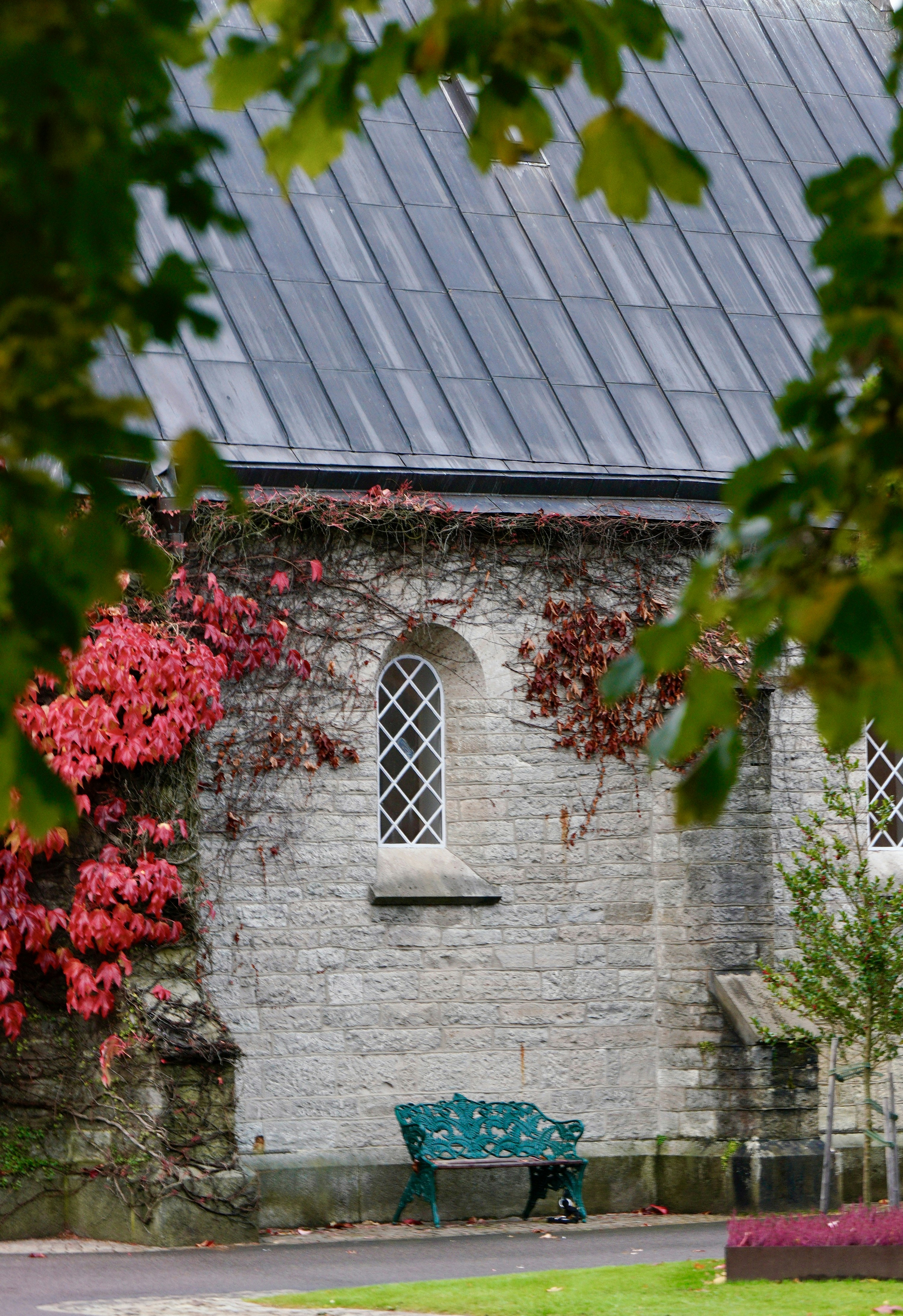 Stone building with red ivy and green bench