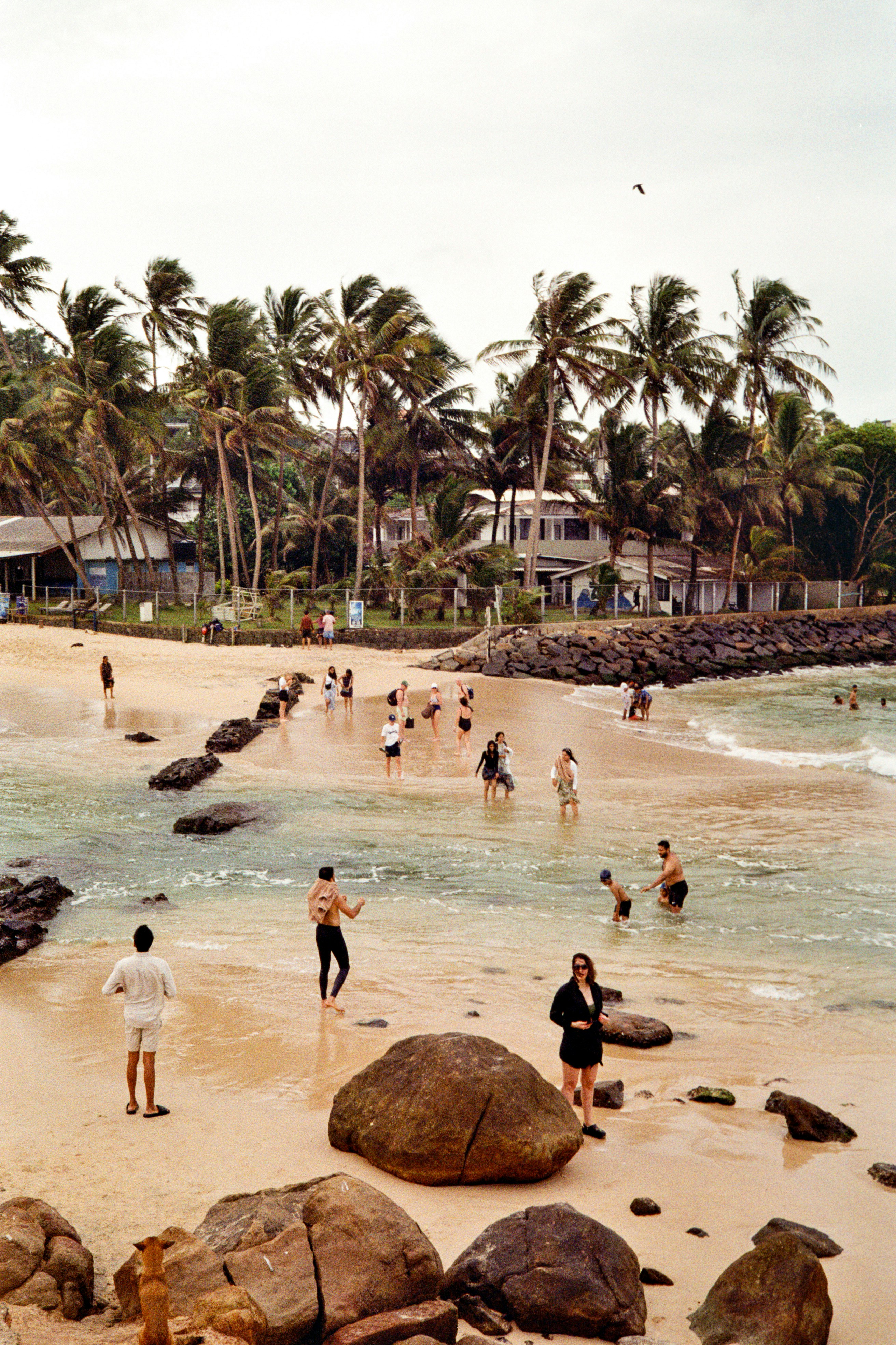 Kodak Gold 200 🎞️ | People enjoying a tropical beach with palm trees and ocean.