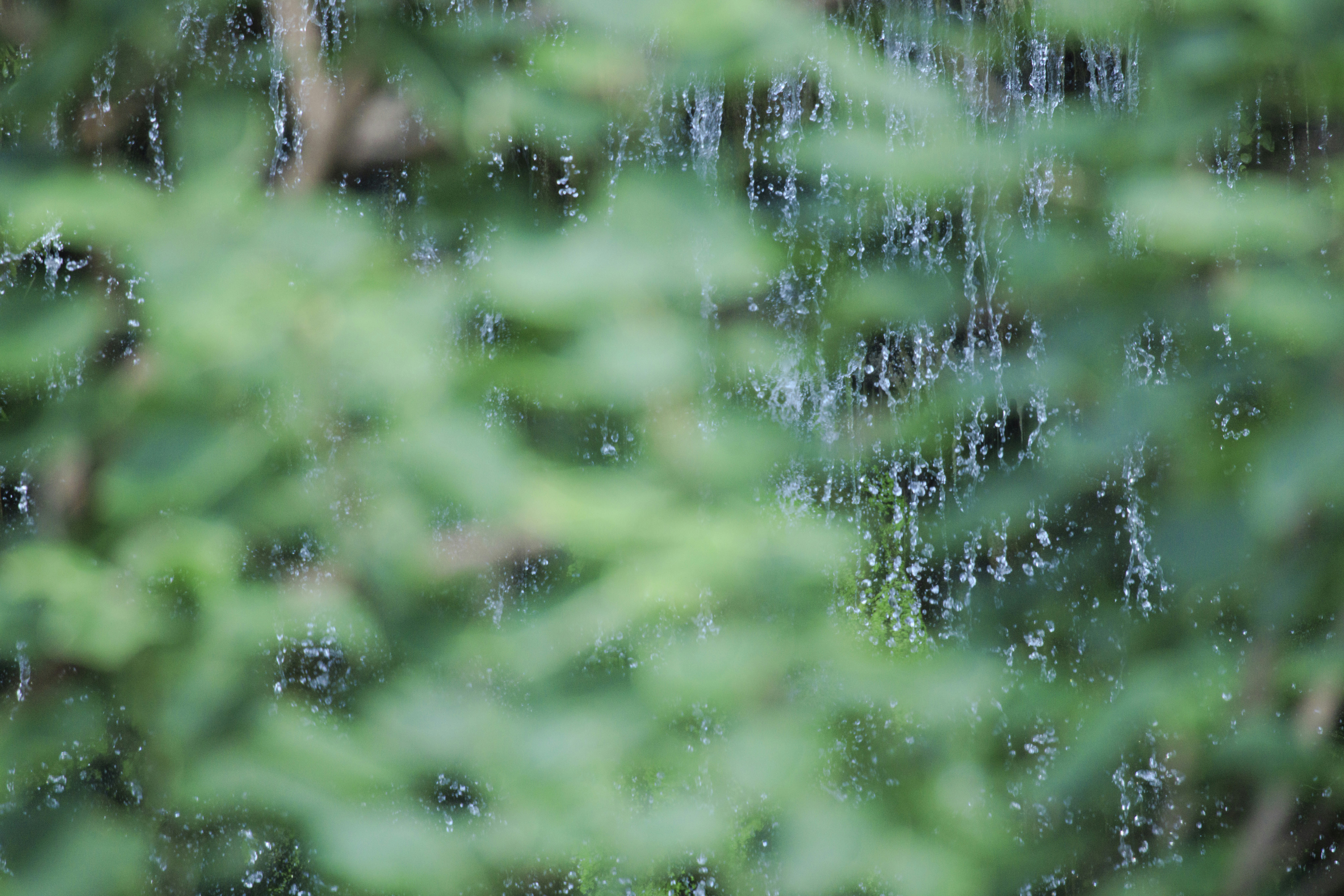 Delicate water droplets cascade through a lush green backdrop, creating a serene atmosphere. The focus on the water adds a tranquil element to the natural setting.