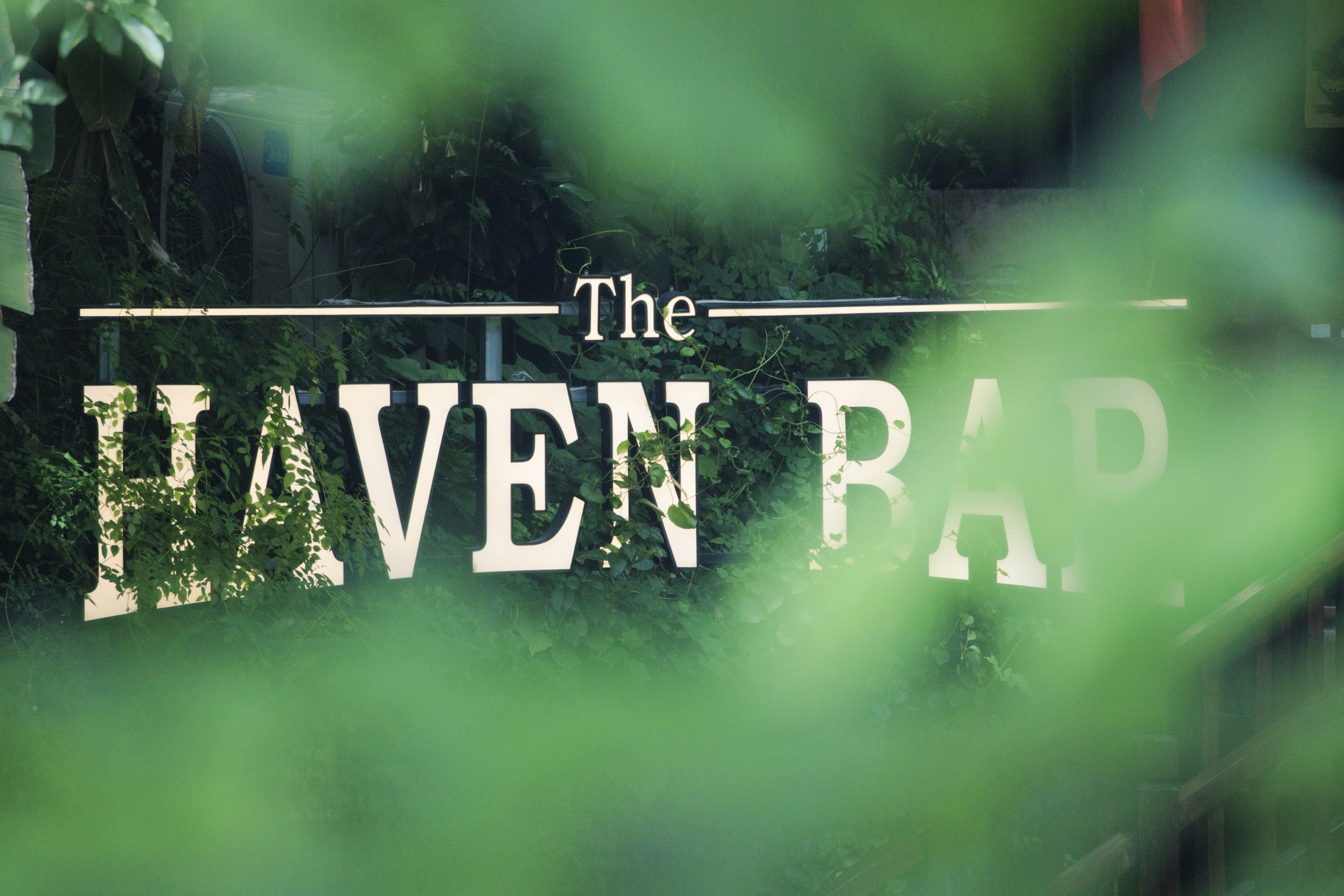 A Serene Retreat: The Haven Bar Unveiled