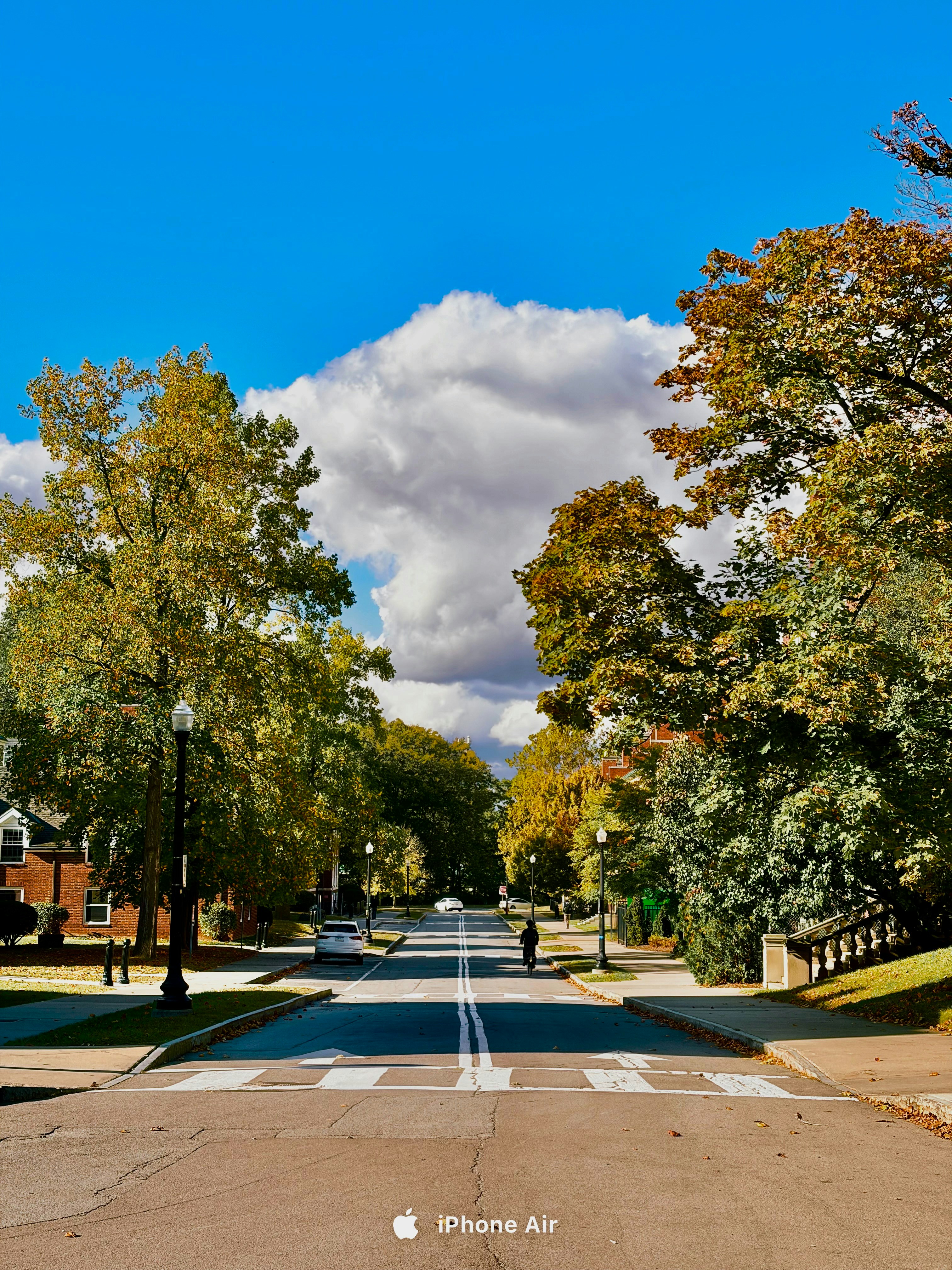 Tree-lined street with a crosswalk and distant person.