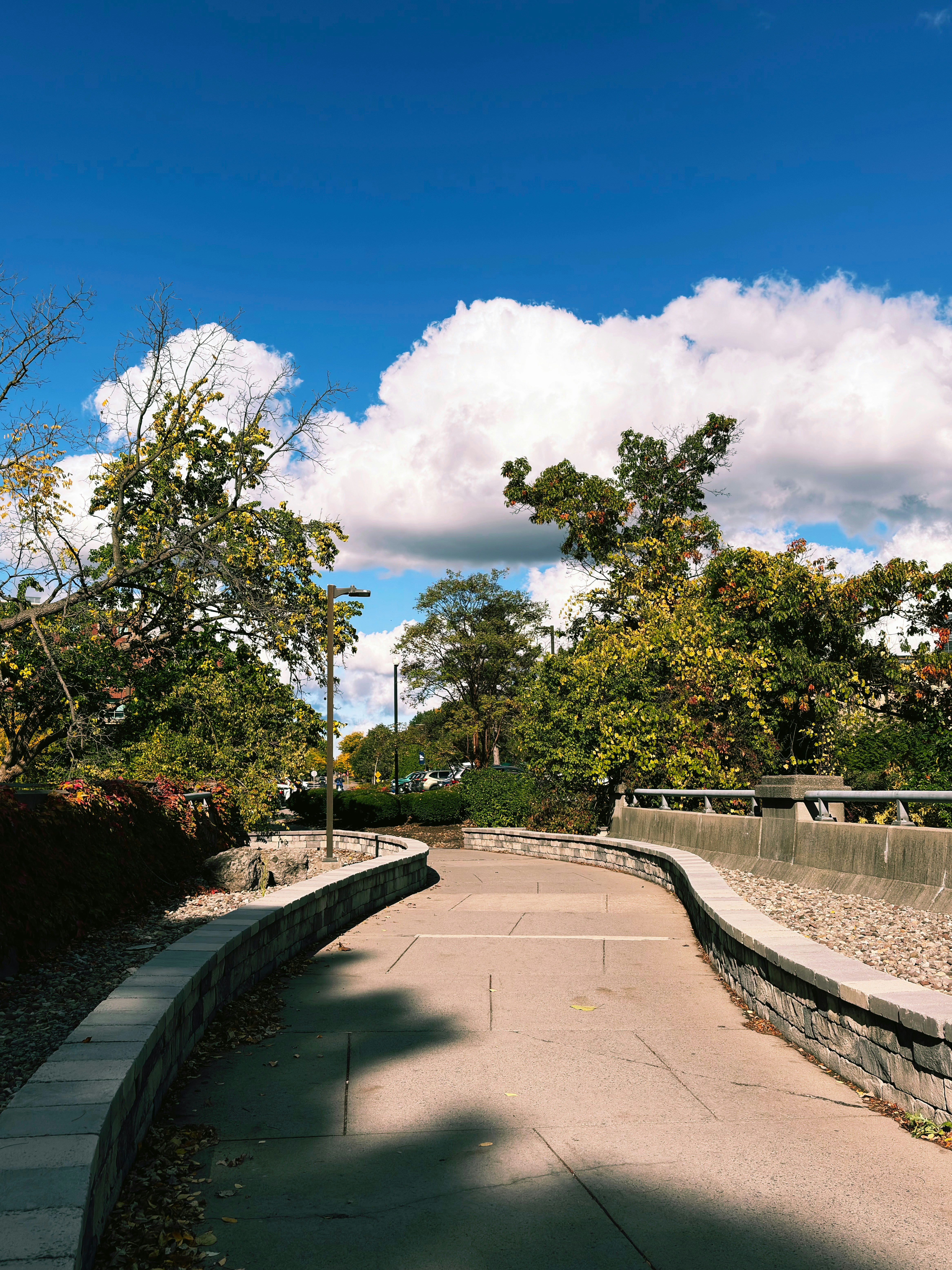 Curved pathway lined with vibrant trees and clouds above, inviting exploration in a serene outdoor setting.