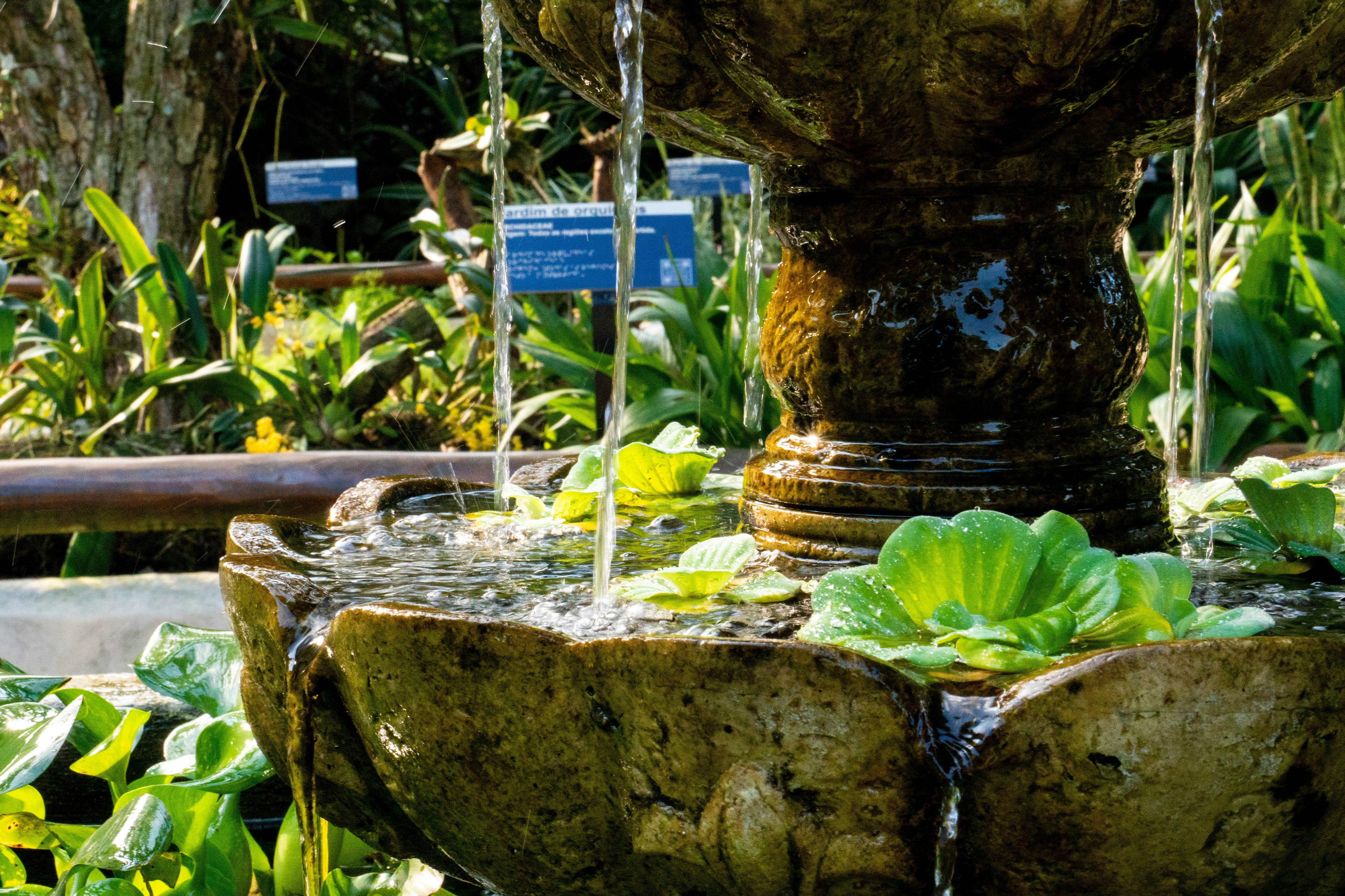El agua fluye sobre una fuente de piedra con plantas. foto – Imagen de ...