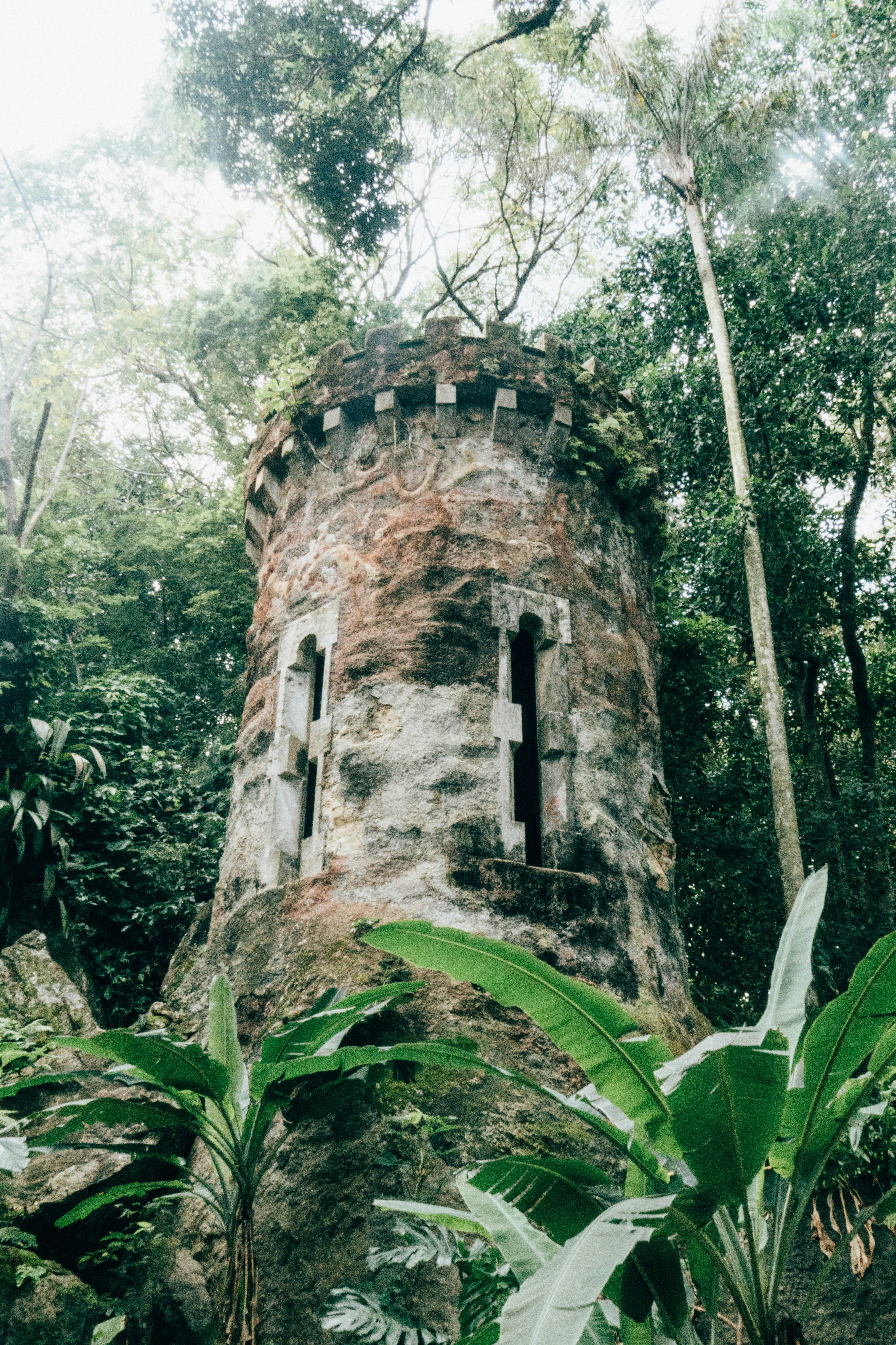 Whispers of the Forgotten Tower