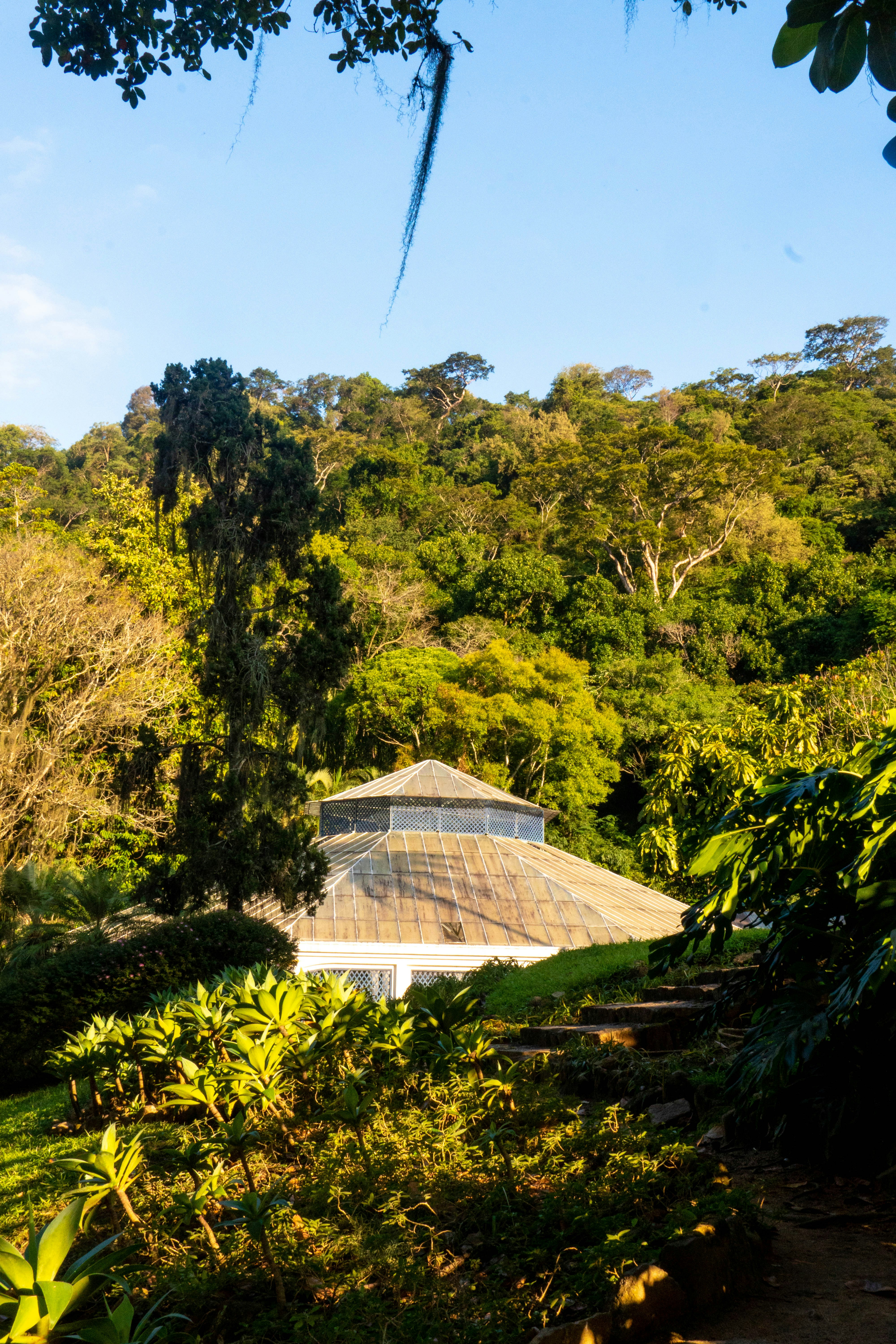 Verdant Canopy Retreat: A Glass-Roofed Pavilion in a Tropical Garden