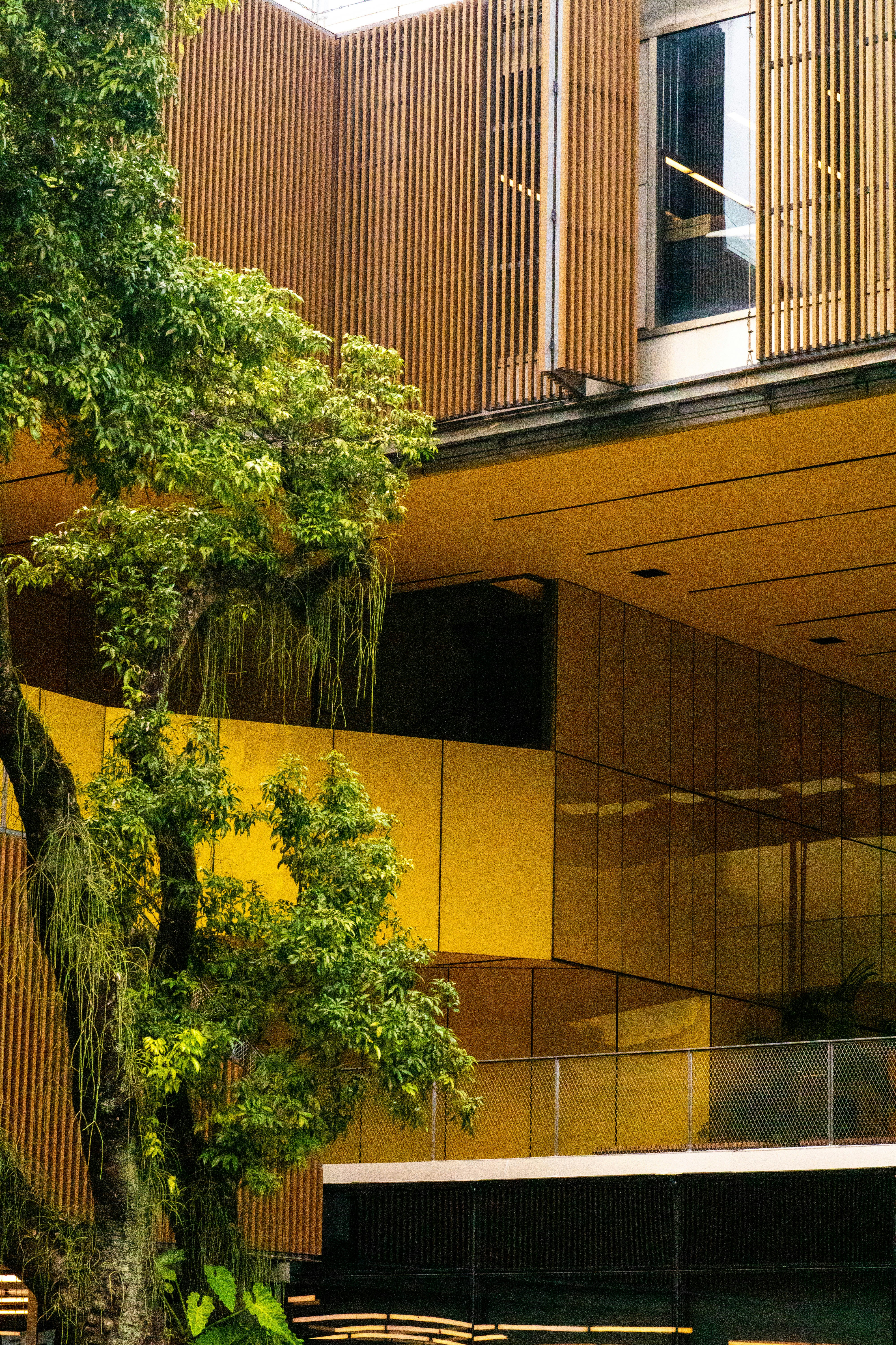 Harmony of Nature and Modern Architecture