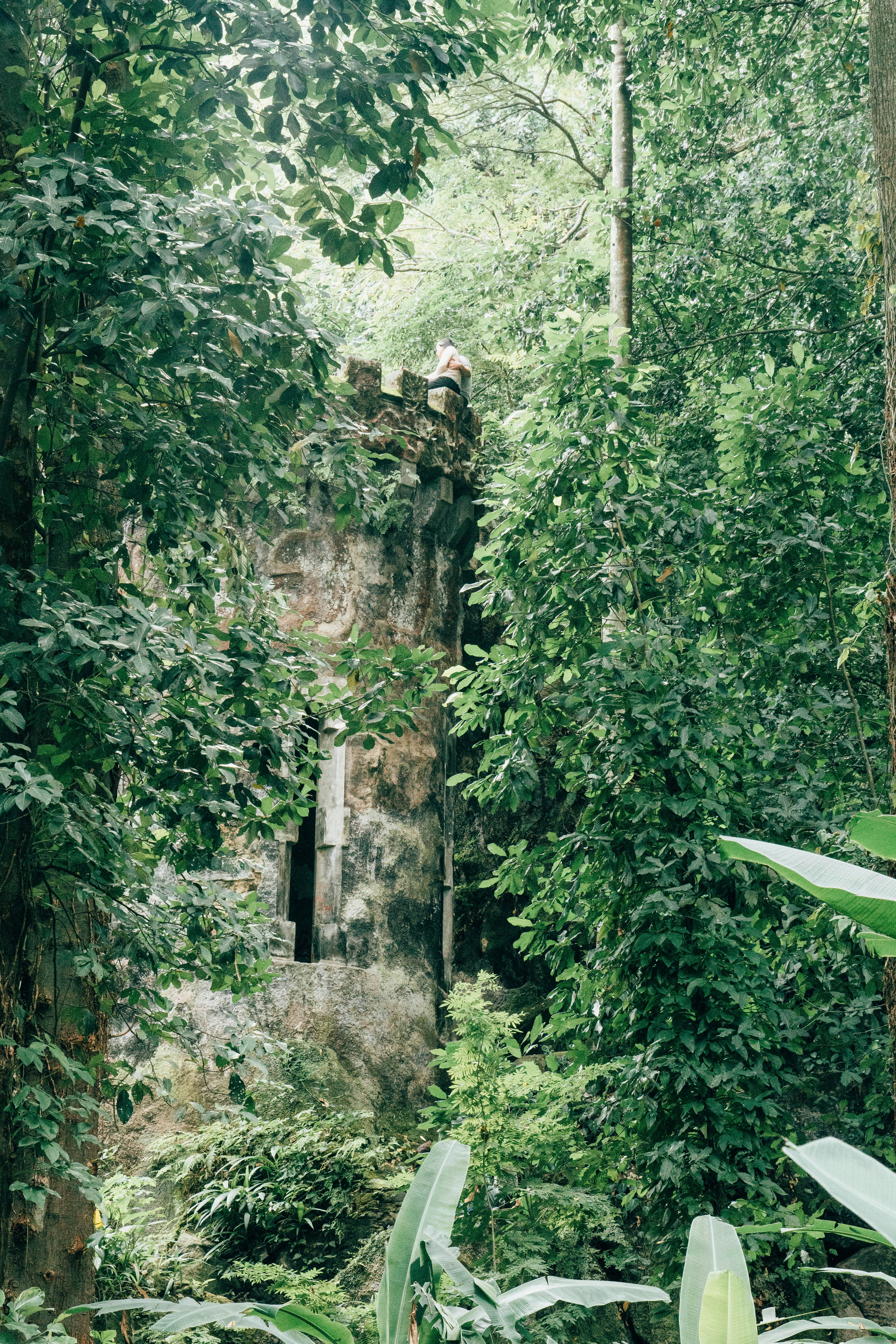 A solitary figure stands atop an ancient, moss-covered tower, surrounded by lush greenery and dense foliage. The scene evokes a sense of mystery and exploration.