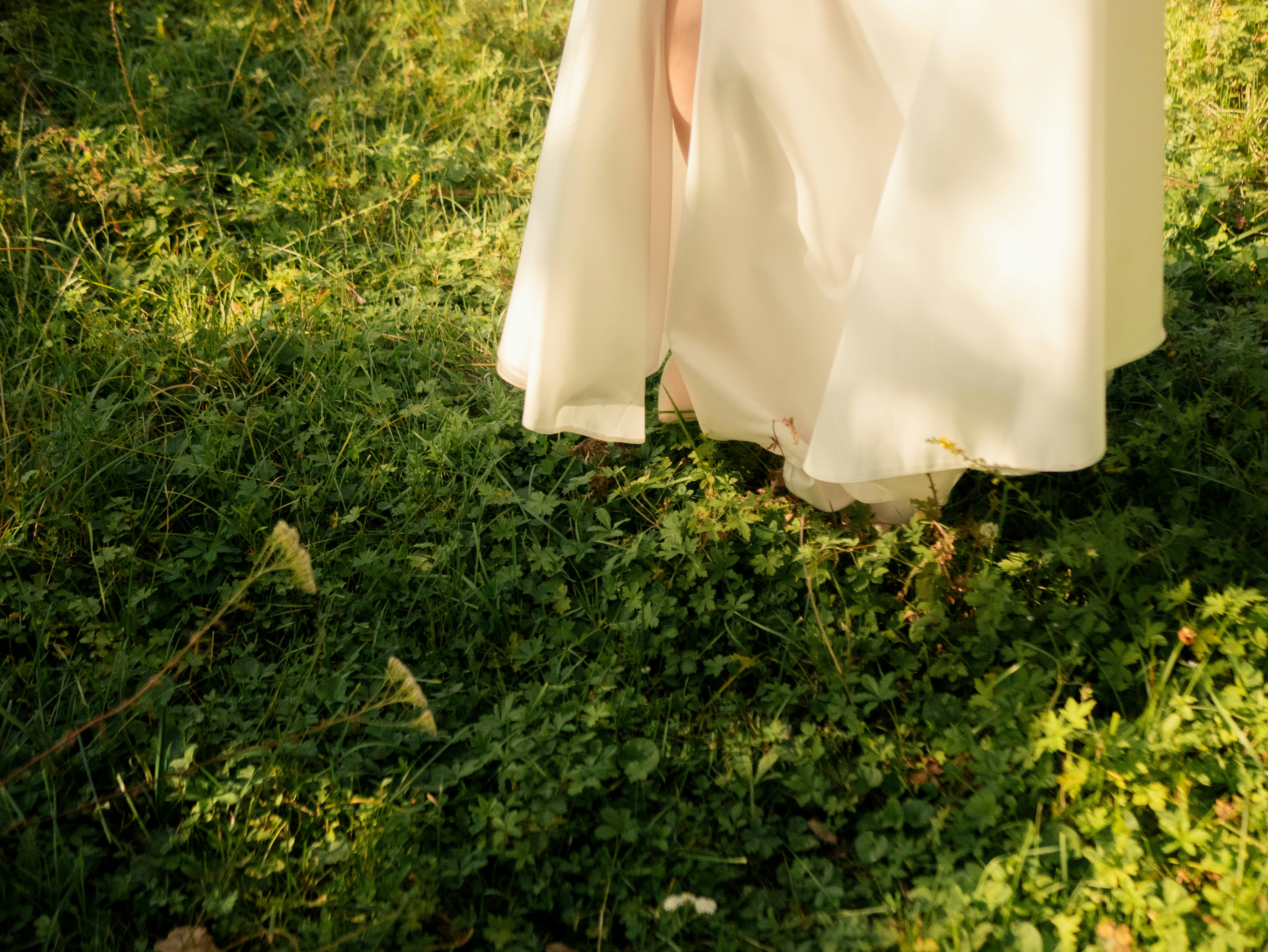 Whispers of Elegance in Nature's Embrace