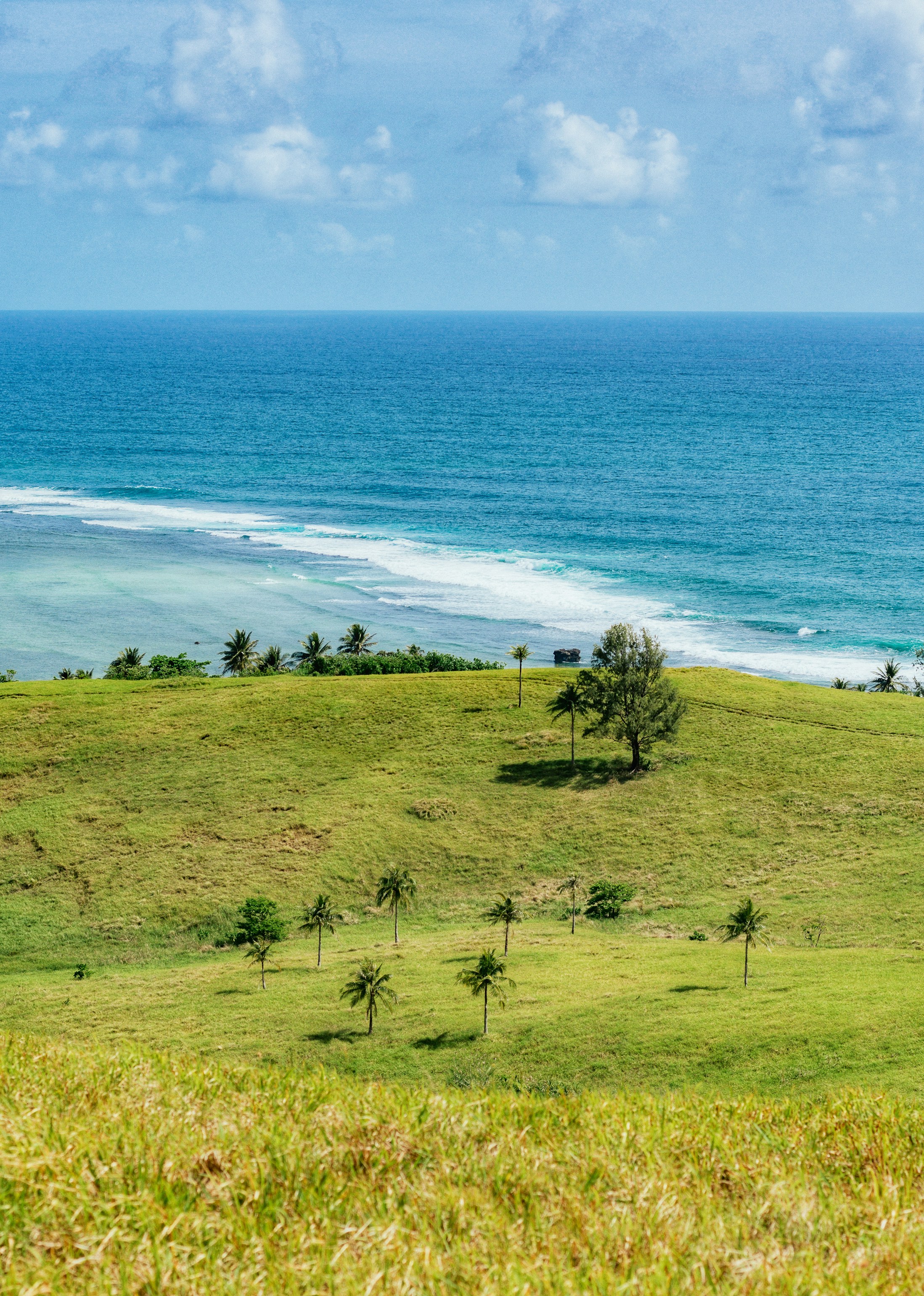 Serenity Above the Shoreline