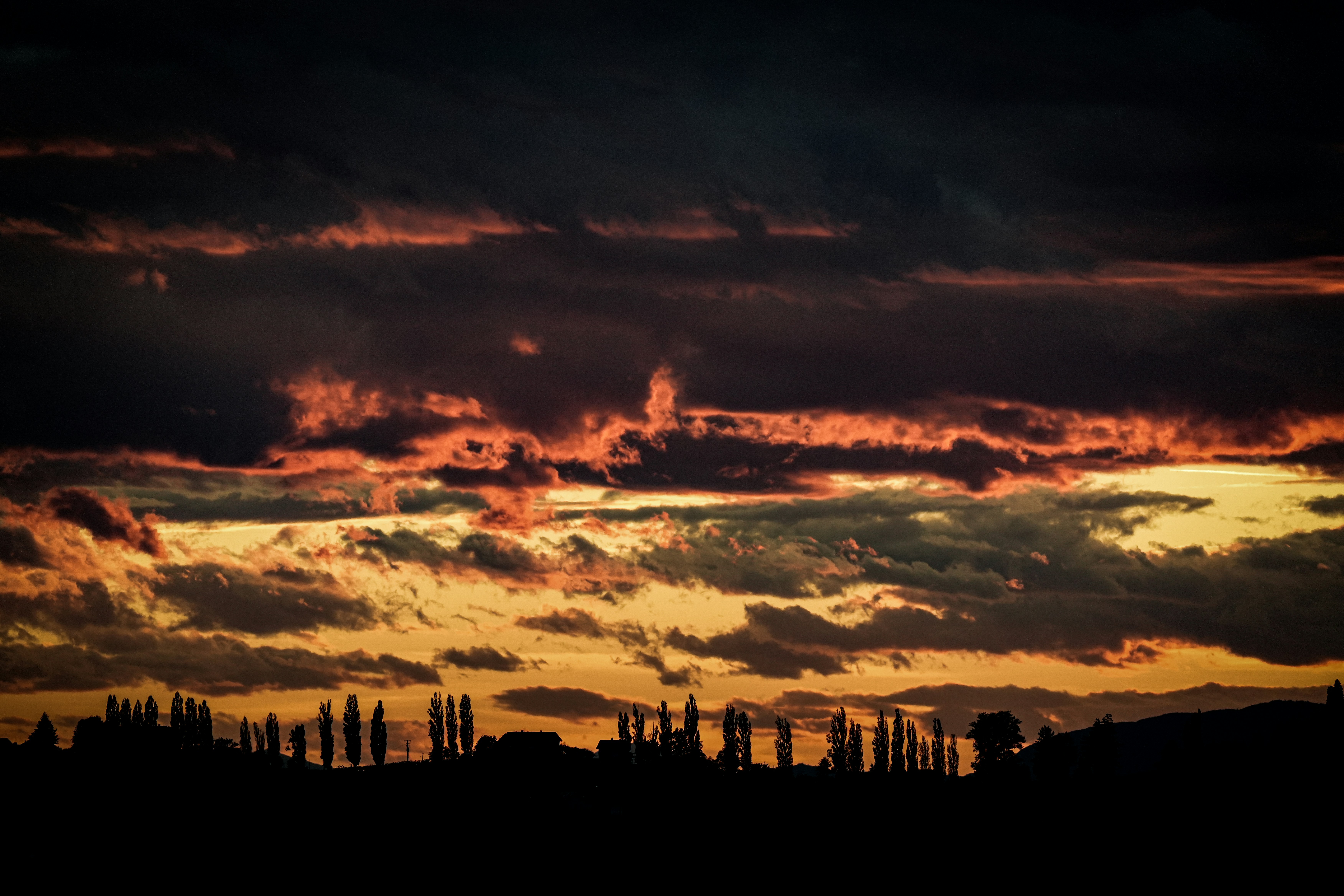 Twilight's Embrace: A Dance of Shadows and Light