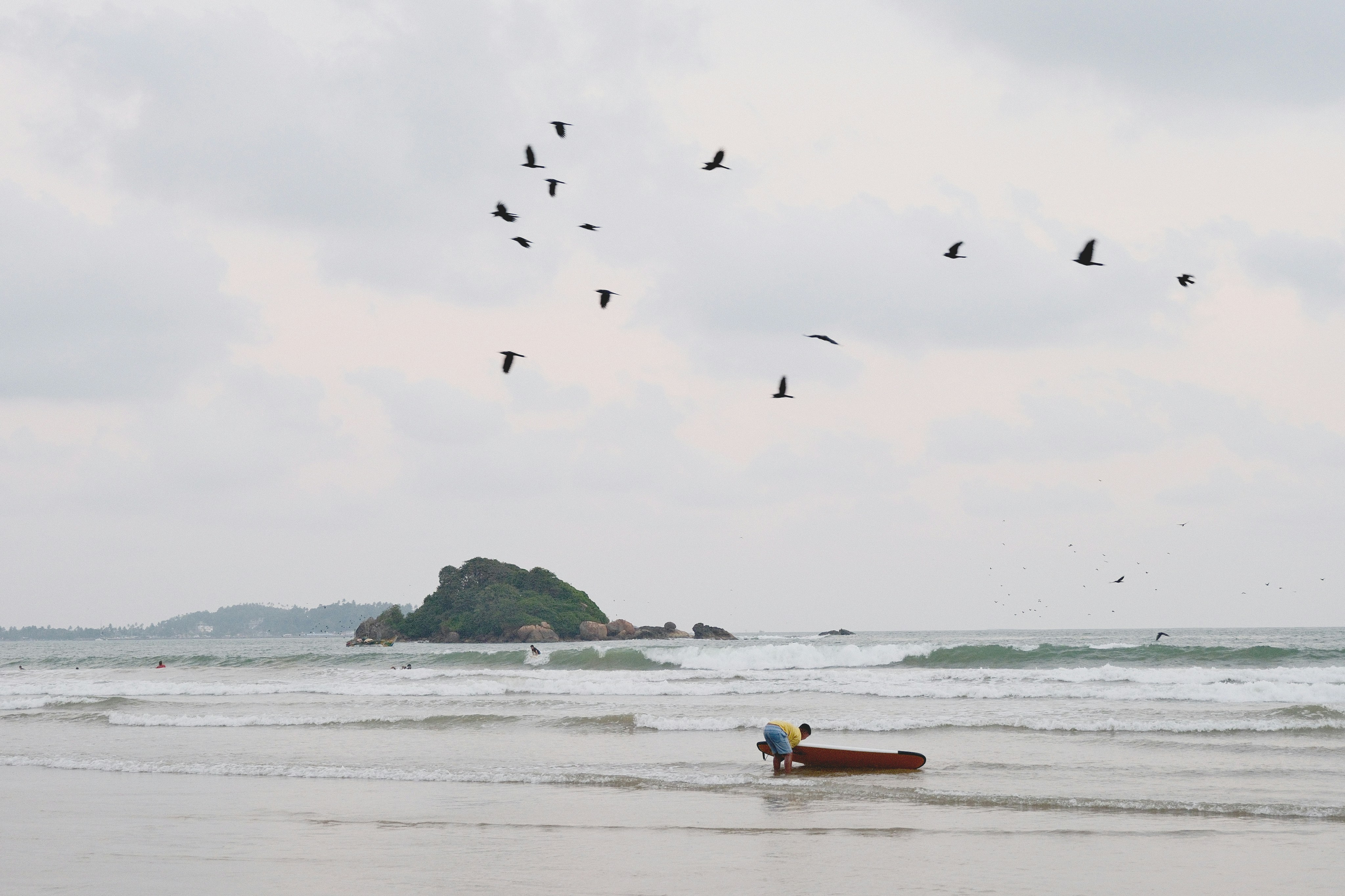 Harmony of Nature: Fisherman and Flock