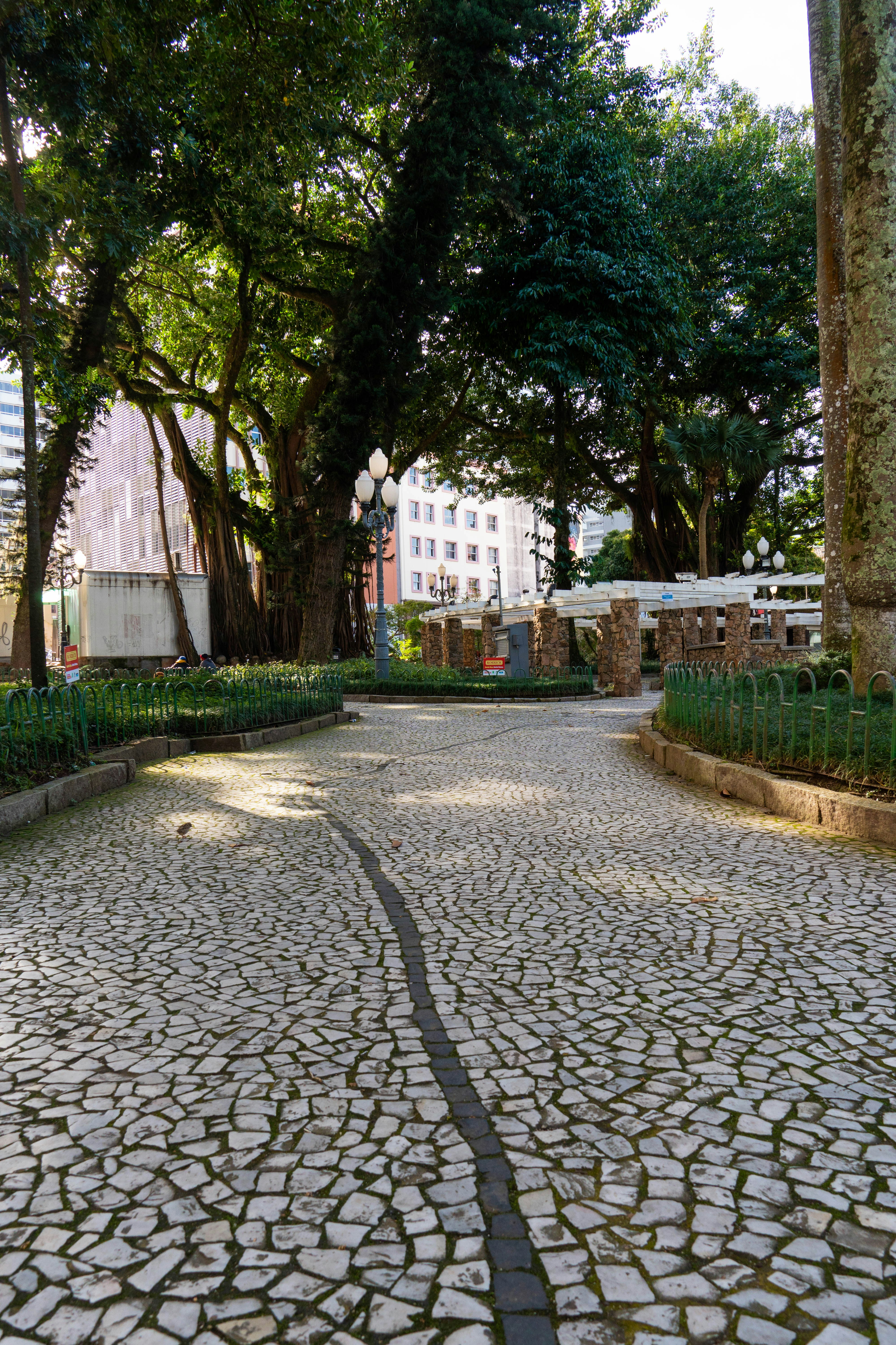 Whispers of Nature in Urban Serenity