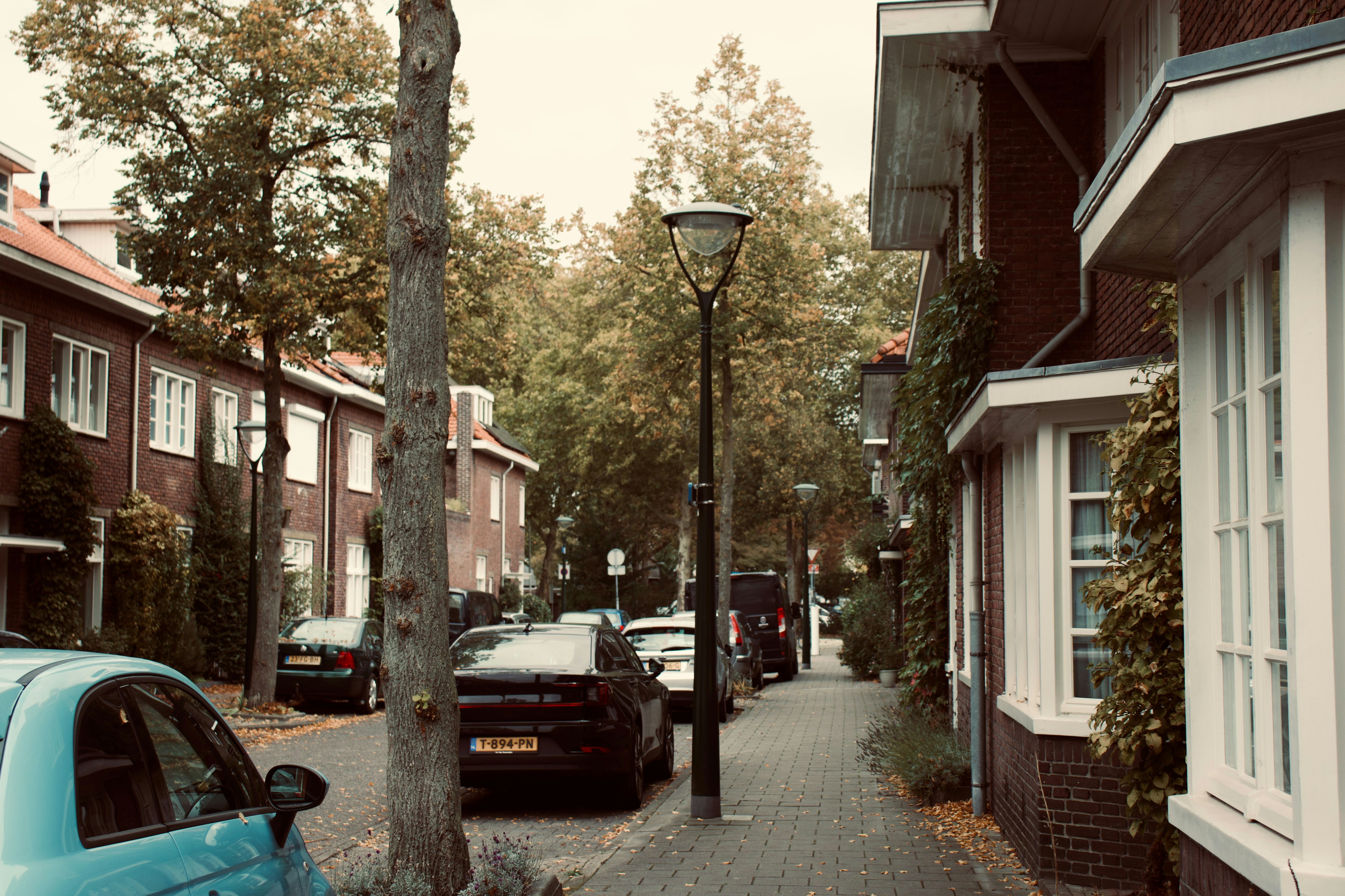 Civic street | Street lined with brick houses and parked cars.