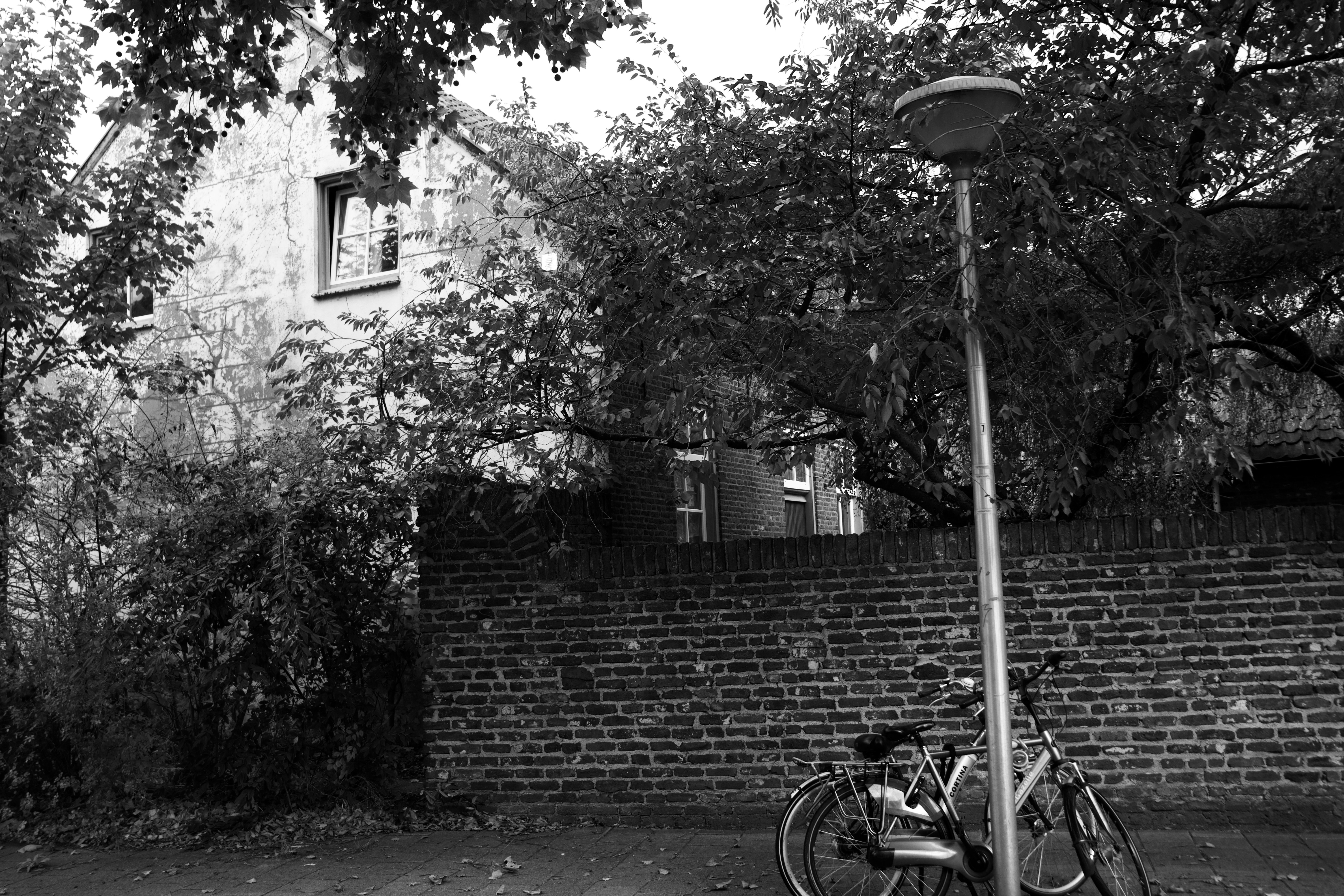 Rustic house | Bicycles parked near a brick wall and trees.