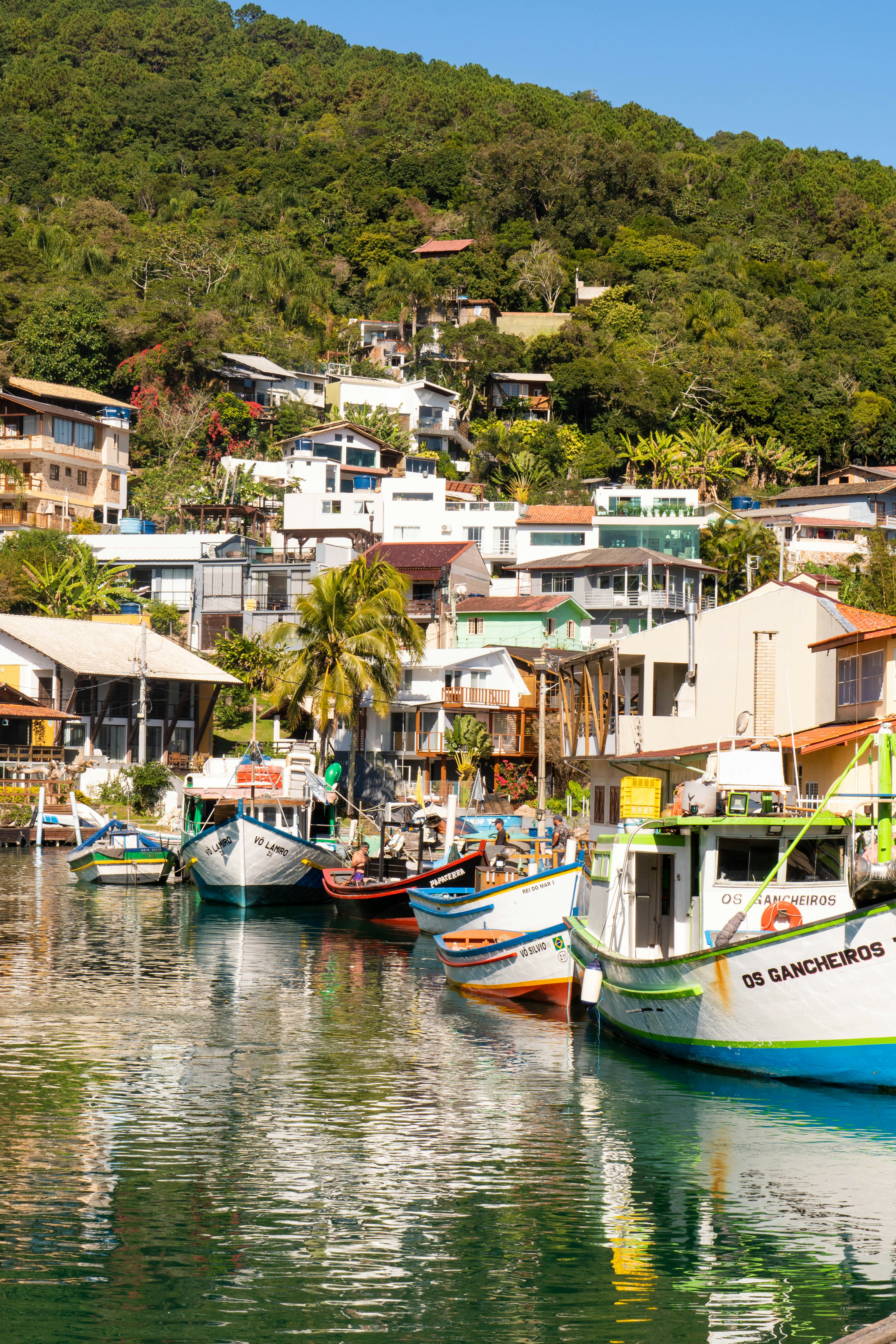 Bateaux de pêche amarrés près d’une ville côtière aux collines ...