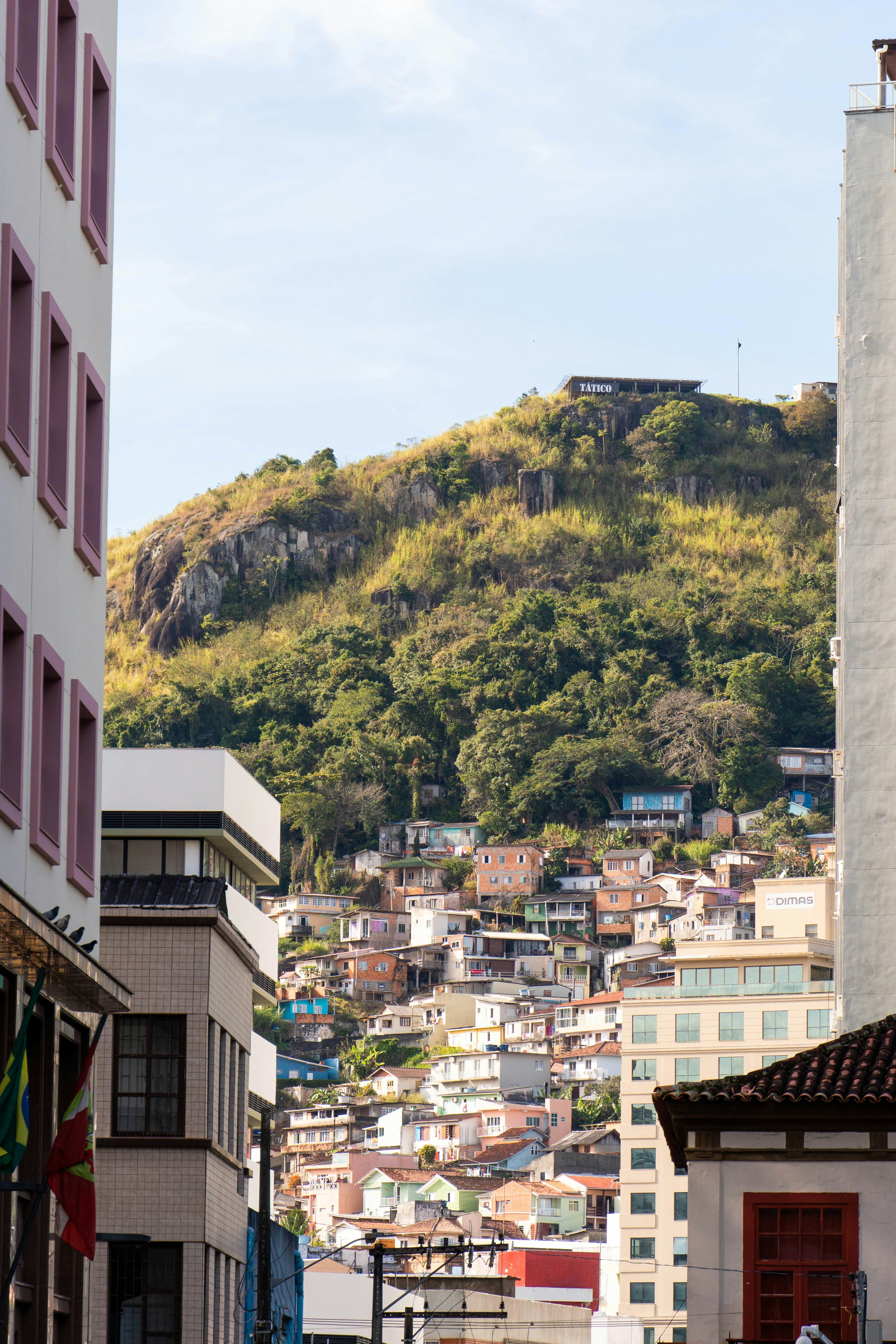 Urban Tapestry: The Hillside Mosaic