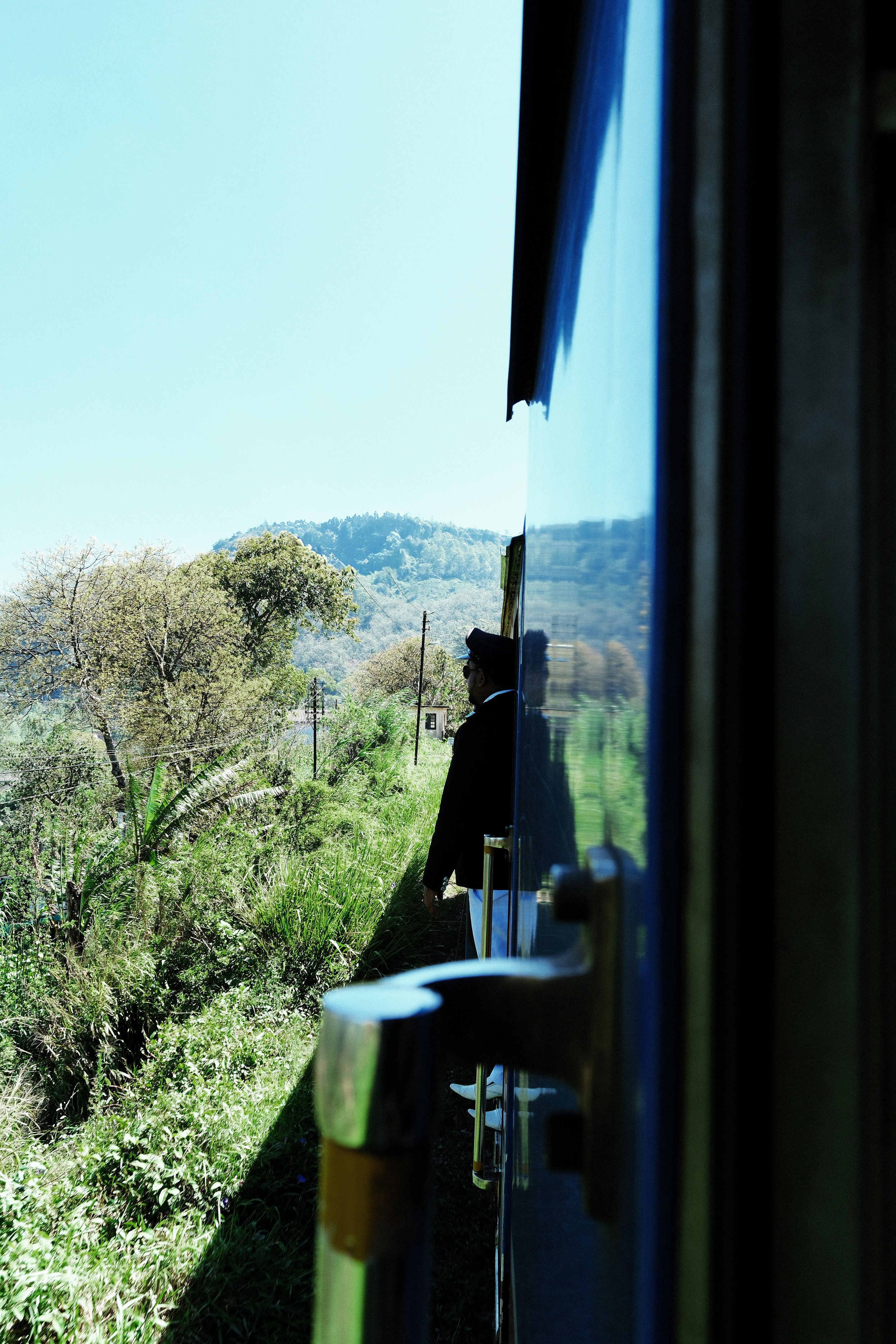 Journey Through Verdant Landscapes