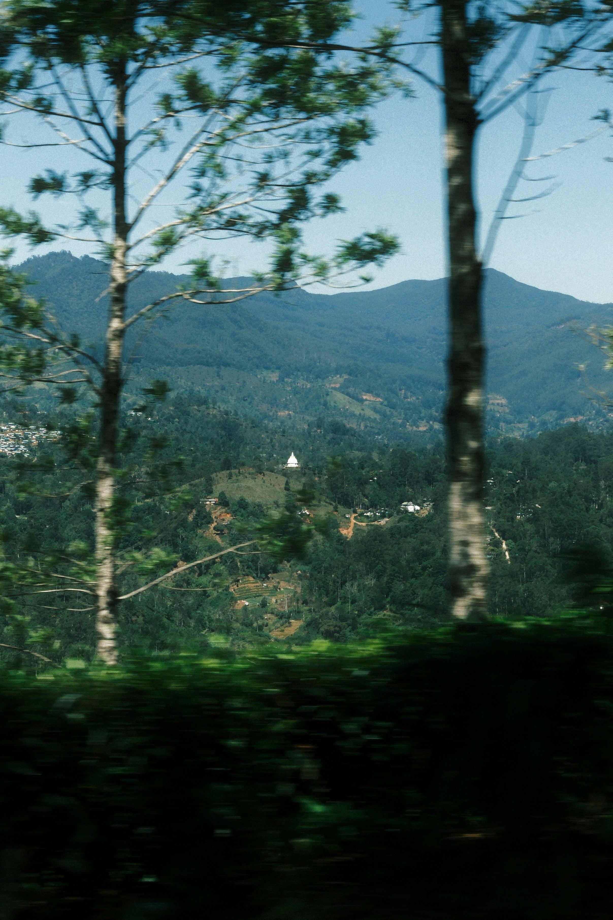 Whispers of Serenity in the Hills
