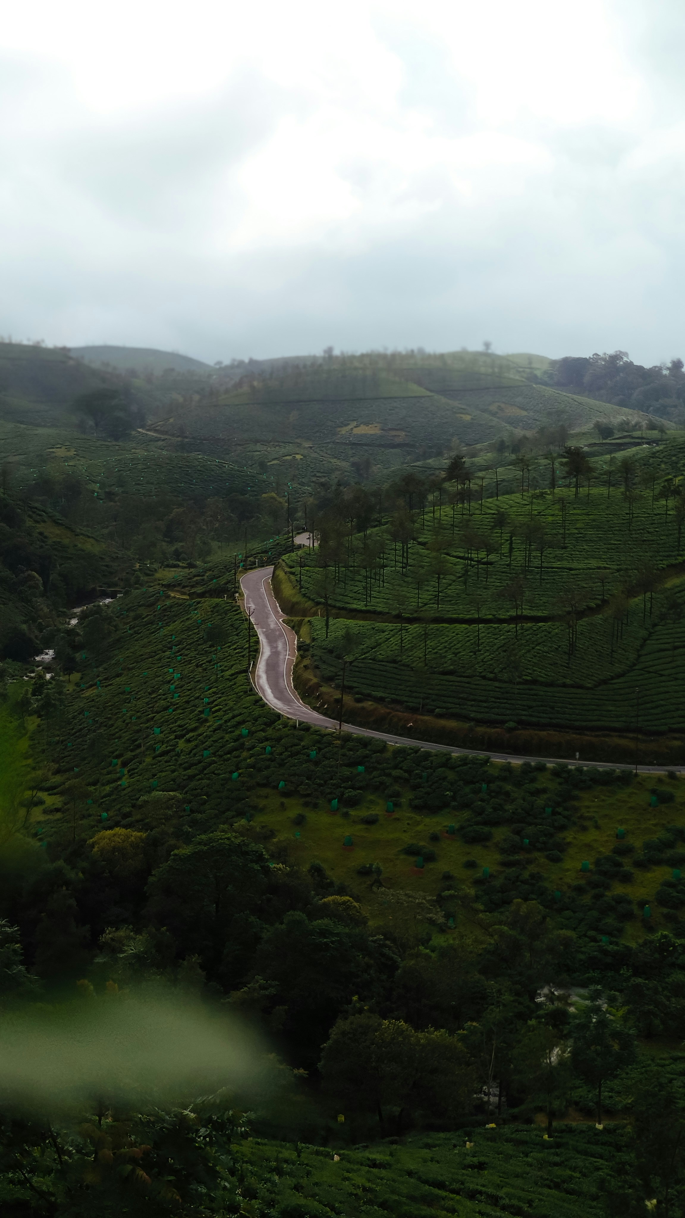 Shot on CMF by Nothing Phone 2Pro, during my recent trip to Urumbikkara, Idukki. | Winding road through lush green rolling hills