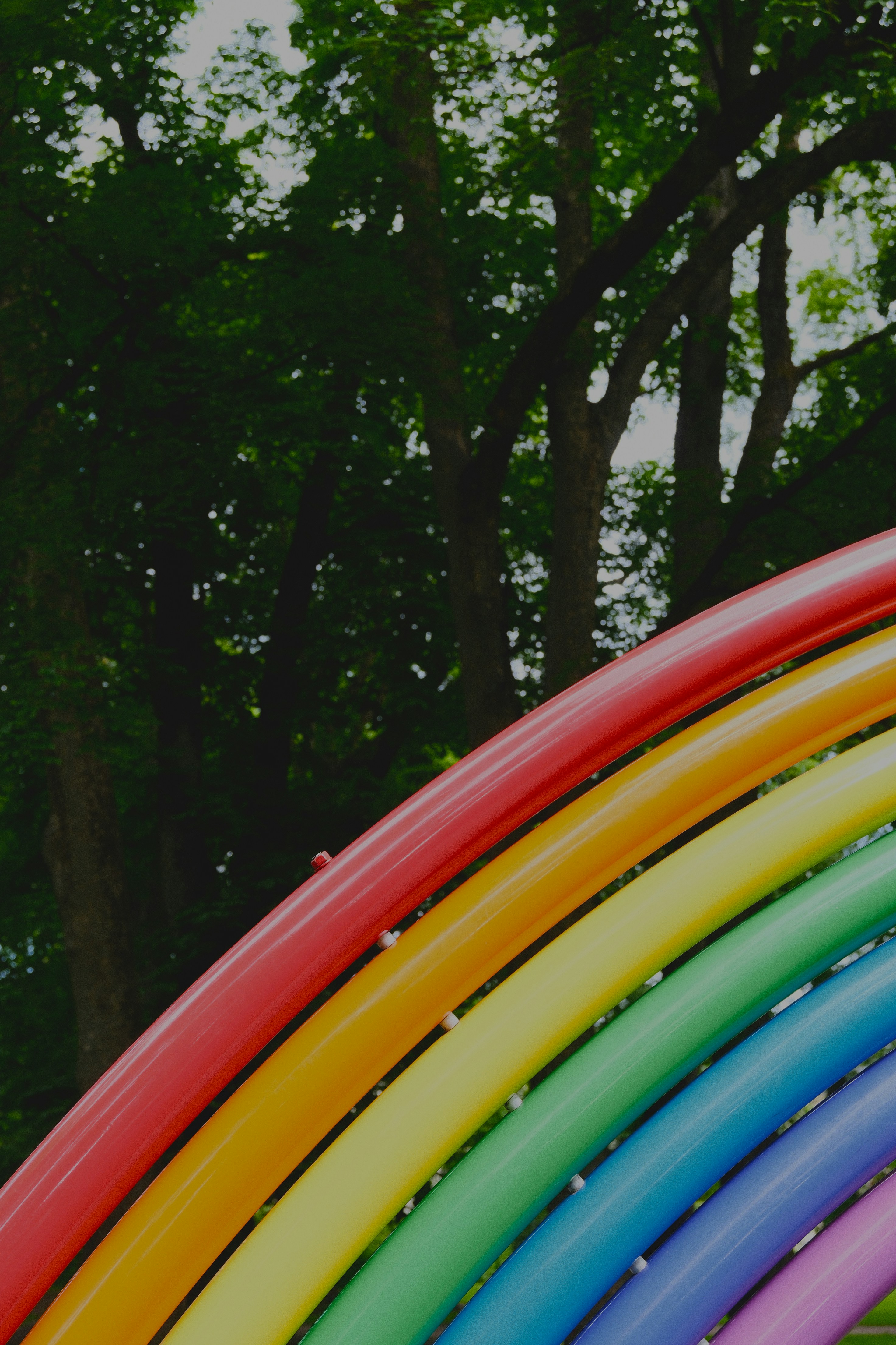 Vibrant Arc of Joy