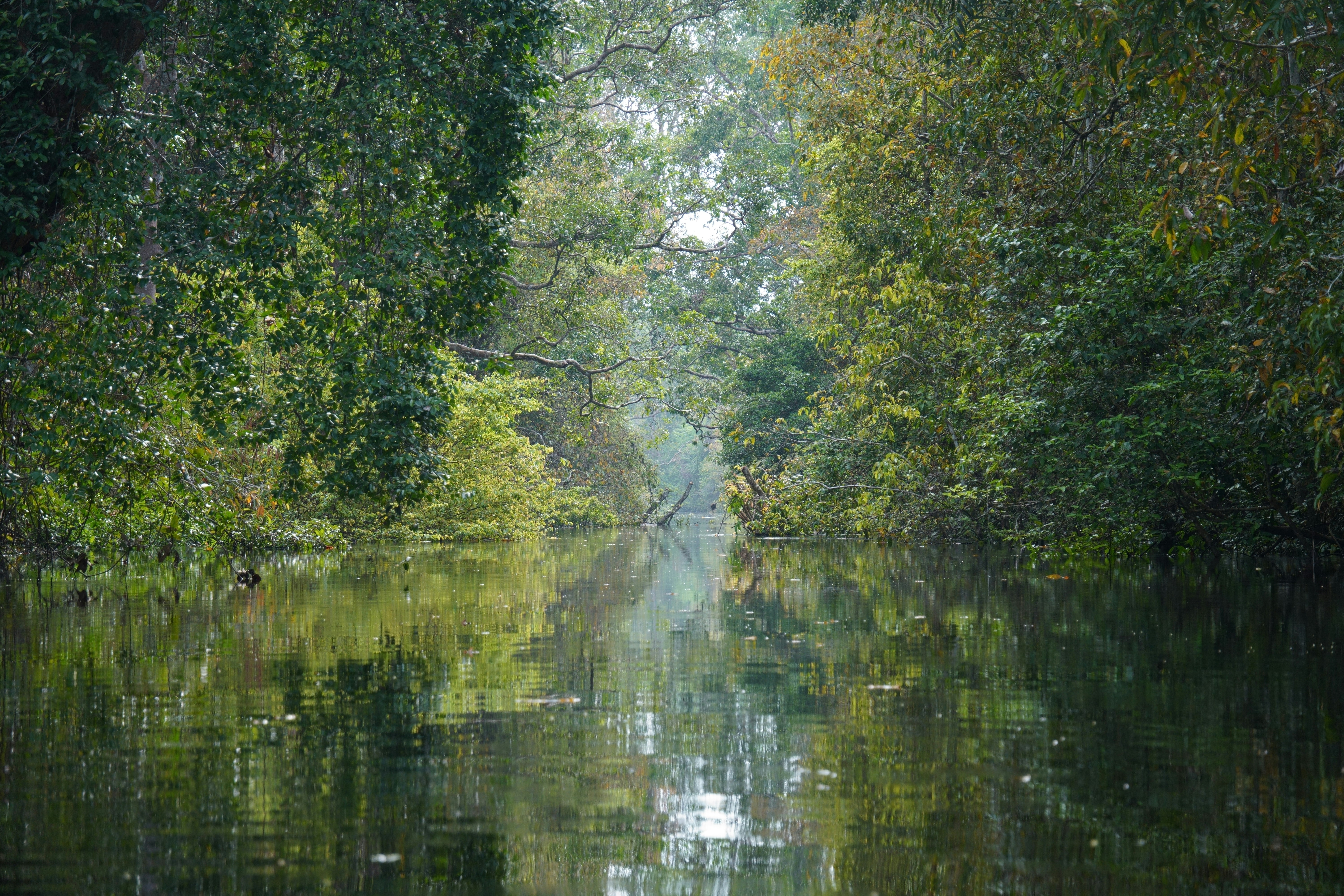 Reflections of Serenity in the Heart of Nature