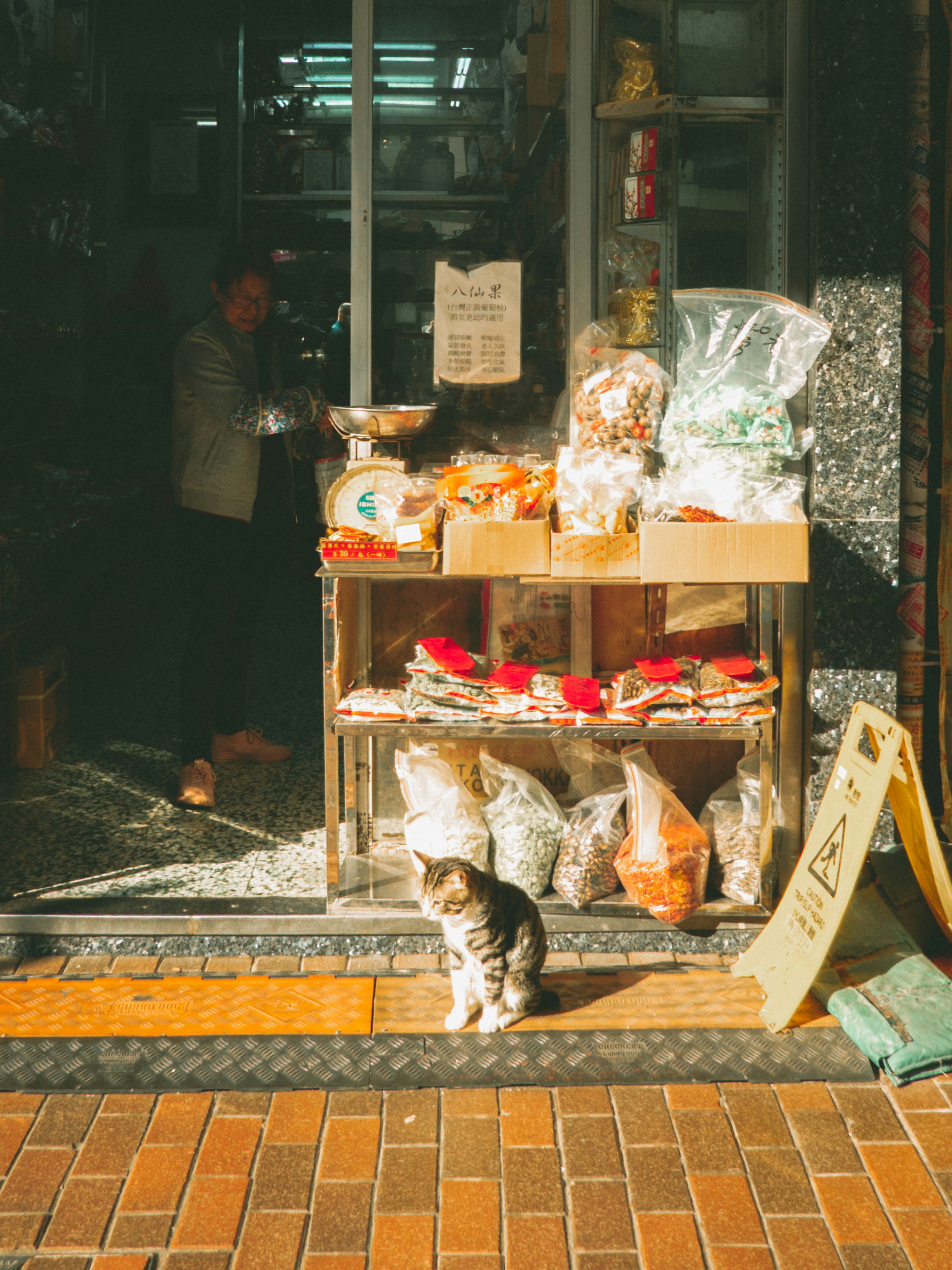 A tabby cat sits calmly in front of a vibrant market stall filled with colorful goods, while a vendor prepares items inside the shop.