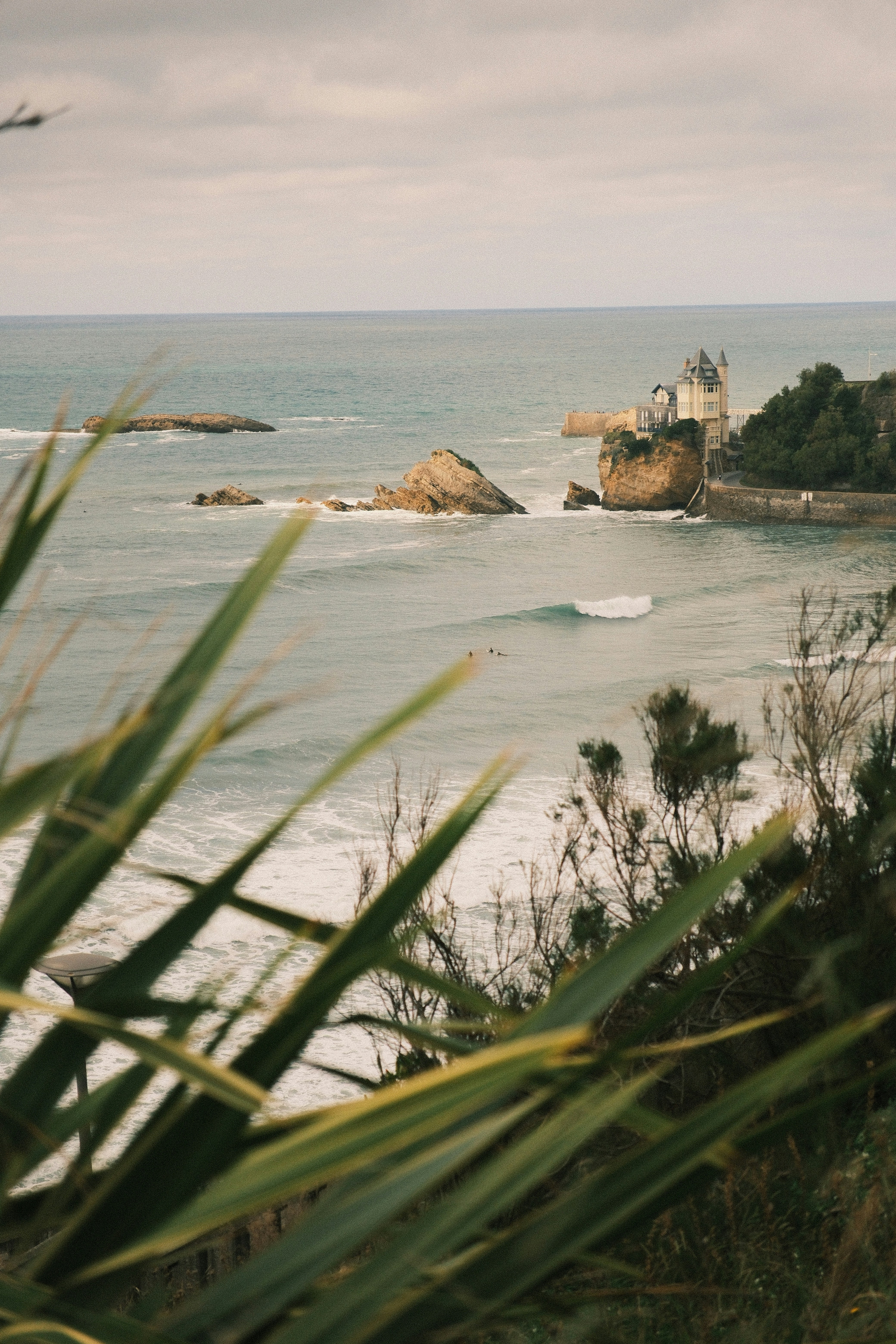 Coastal Serenity: A Glimpse of Nature's Embrace