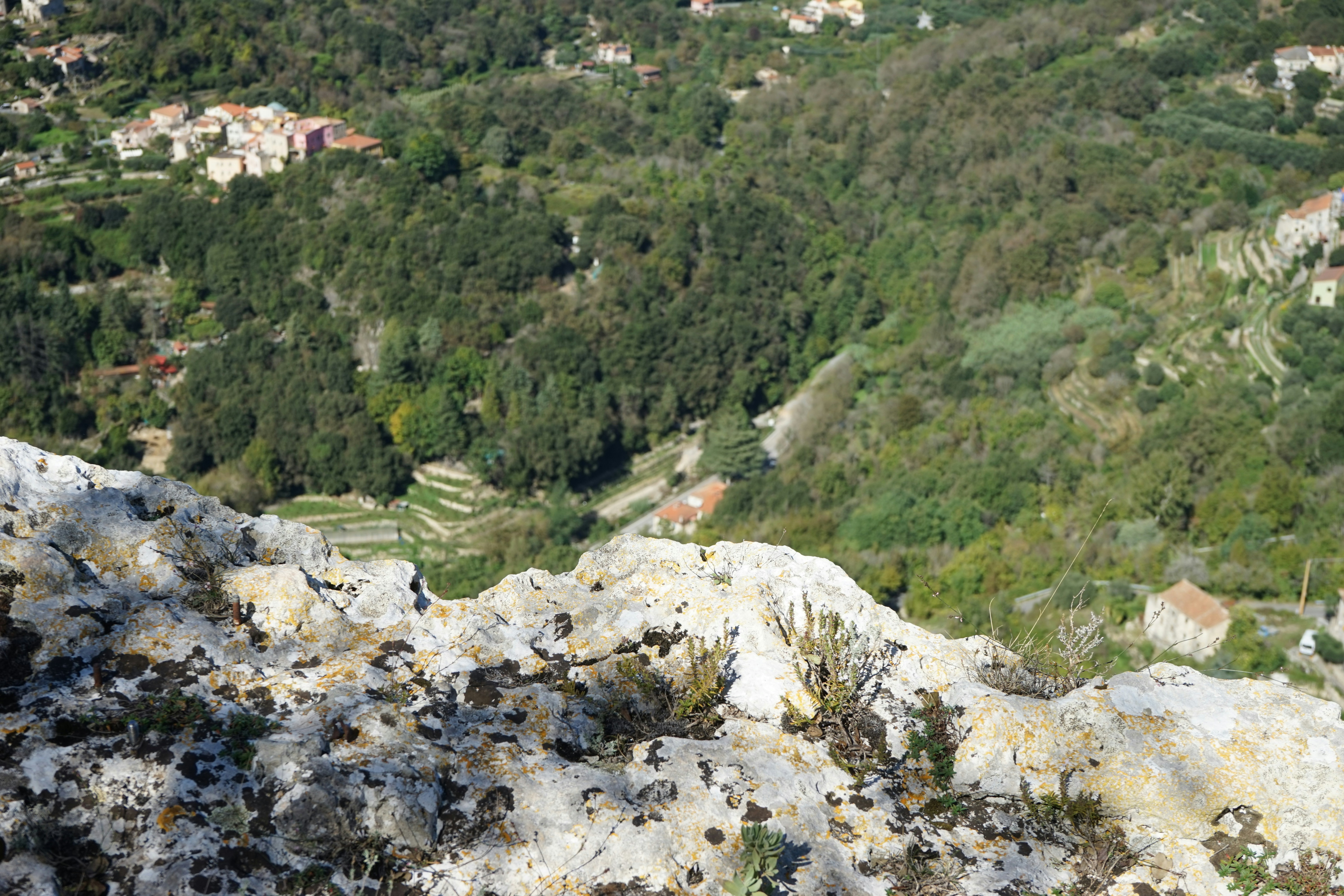 Nature's Overlook: A Cliffside View of Verdant Valleys