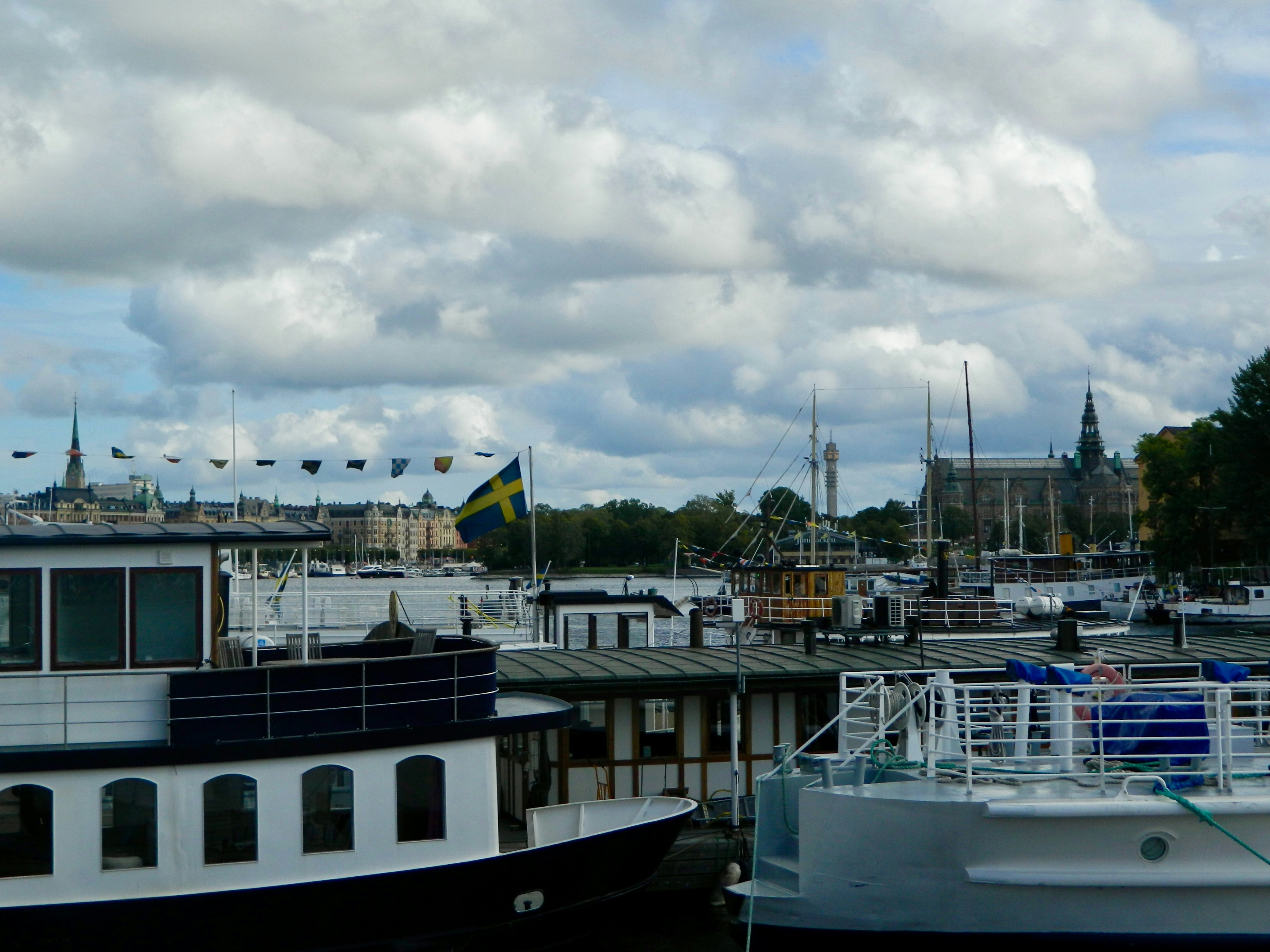 Harbor Whispers: A Glimpse of Urban Serenity