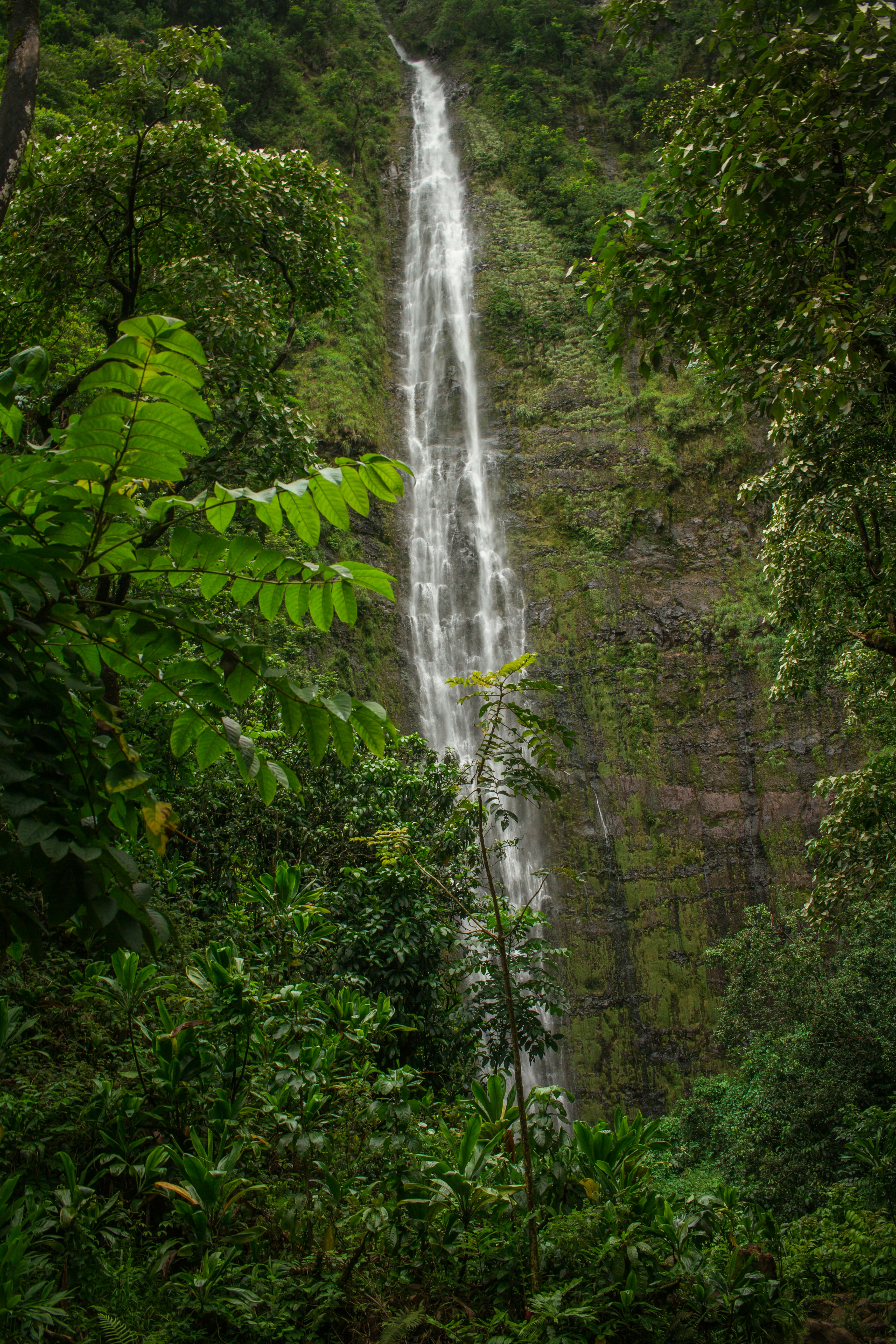 Tall waterfall cascading down a lush green cliff face.