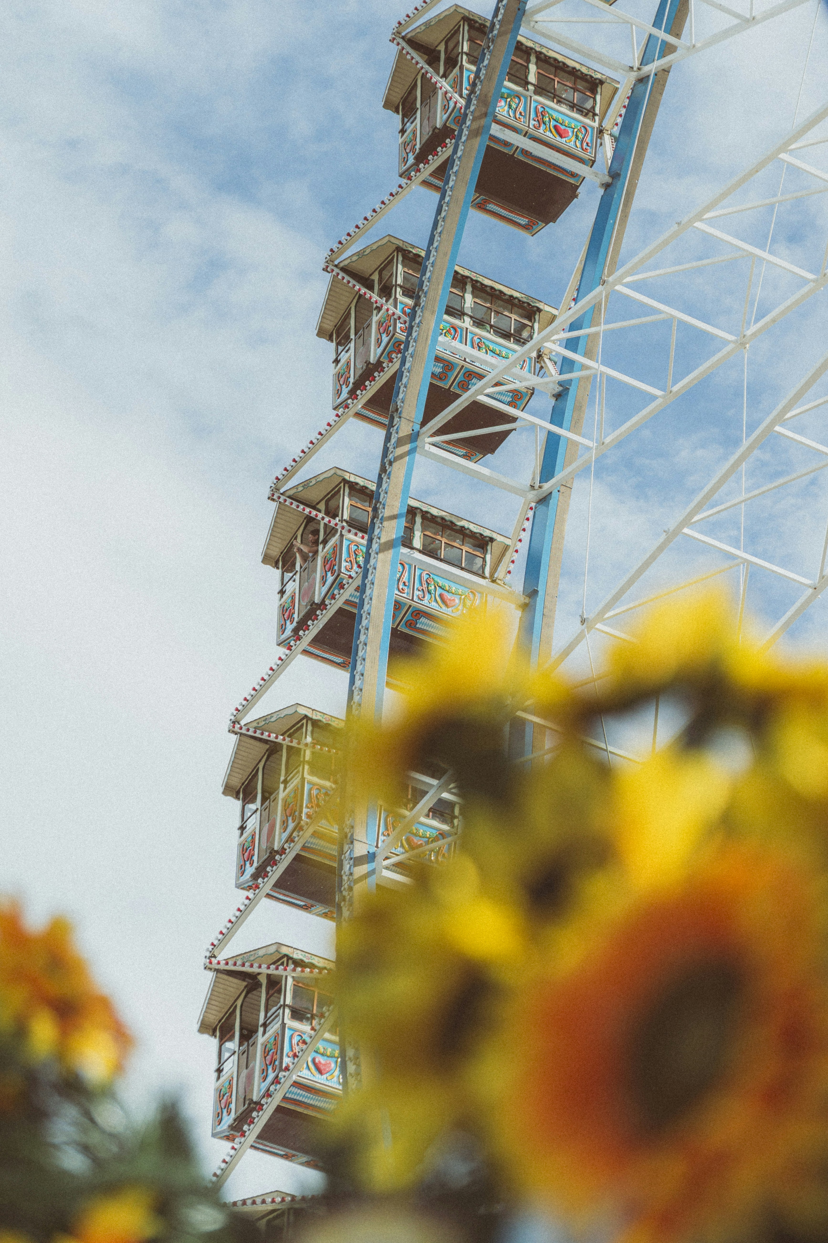 Cerulean Ferris Wheel Rises Above Sunflower Blur