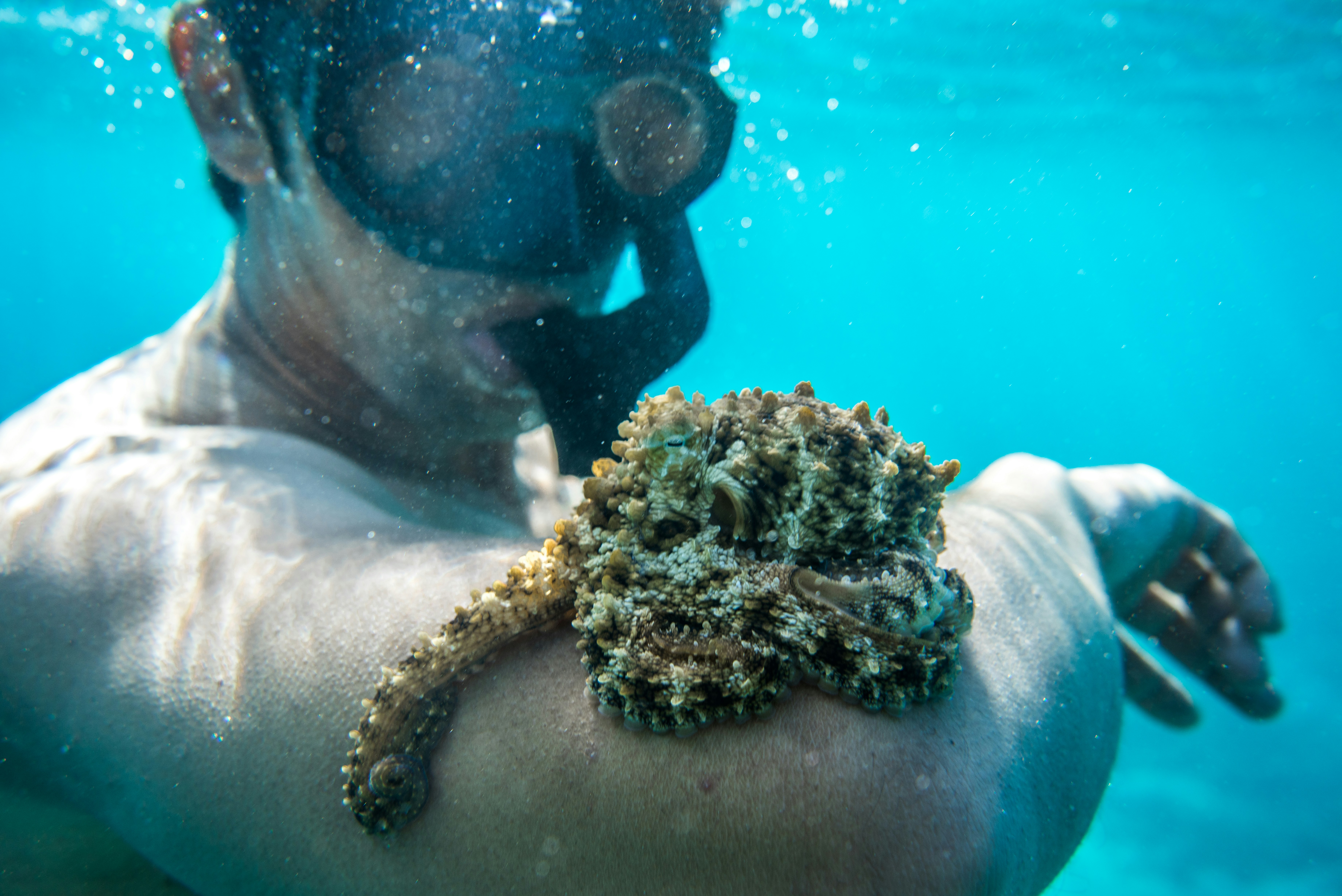 An Unlikely Bond Beneath the Waves