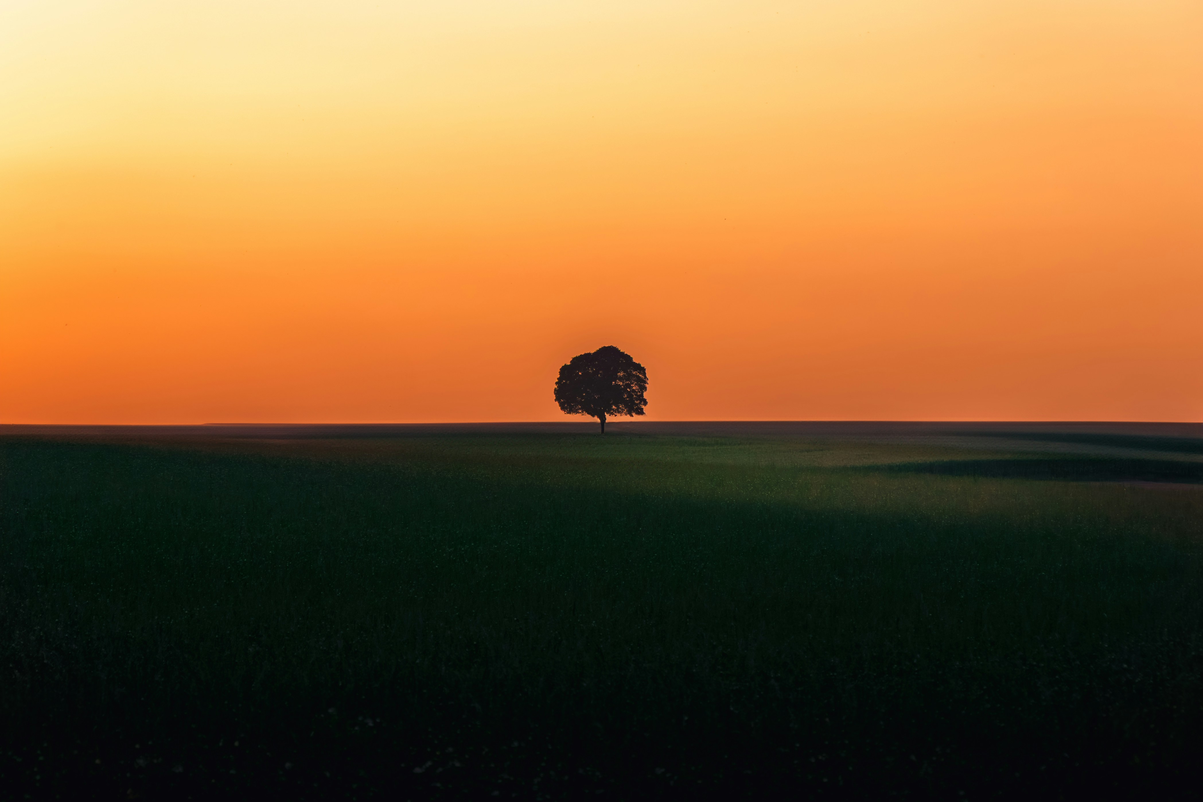 Jonathan Rathgeb (@jonathan_rthg) | Komunitas Foto Unsplash