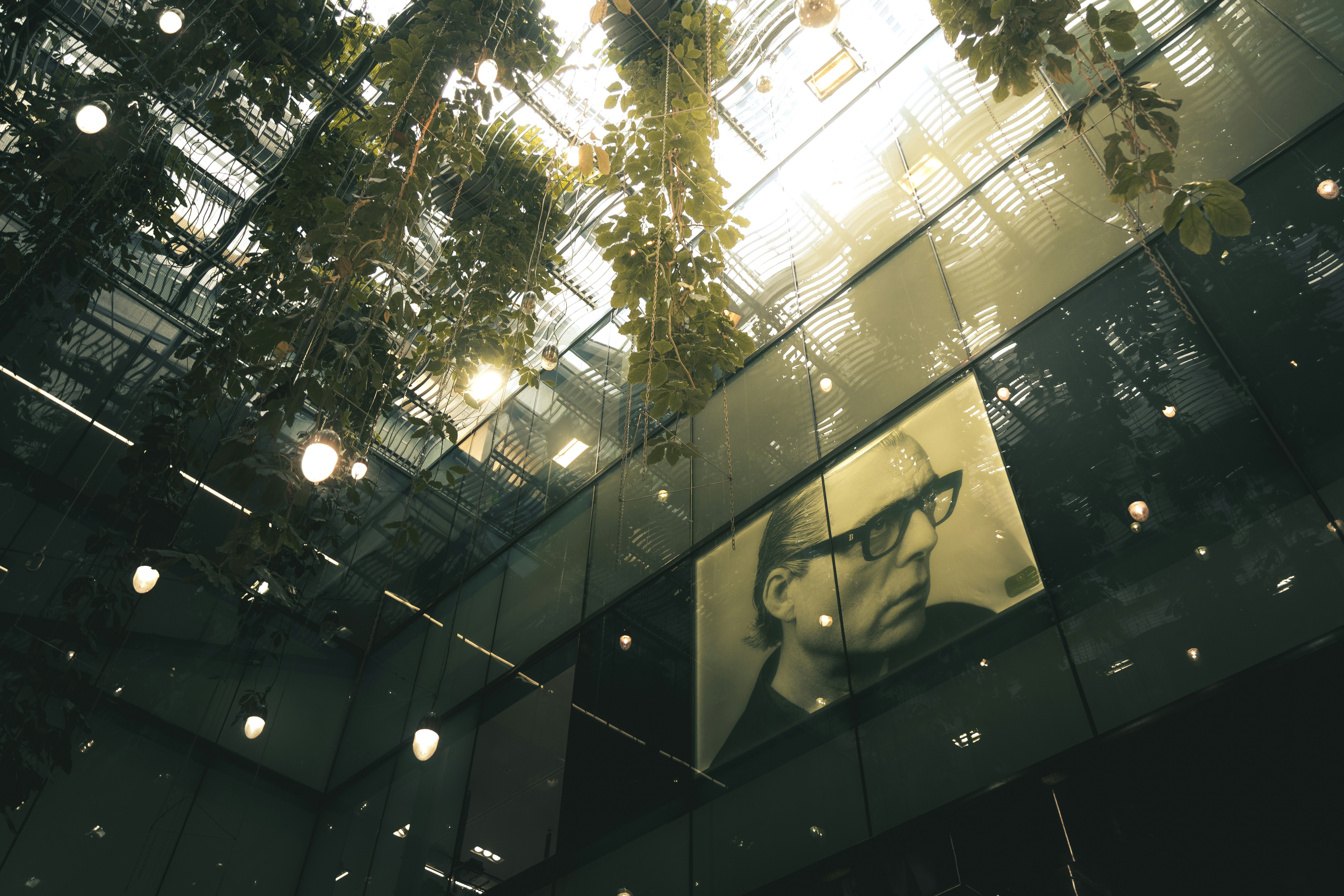 Portrait Framed by Ivy and Light in a Glass Atrium