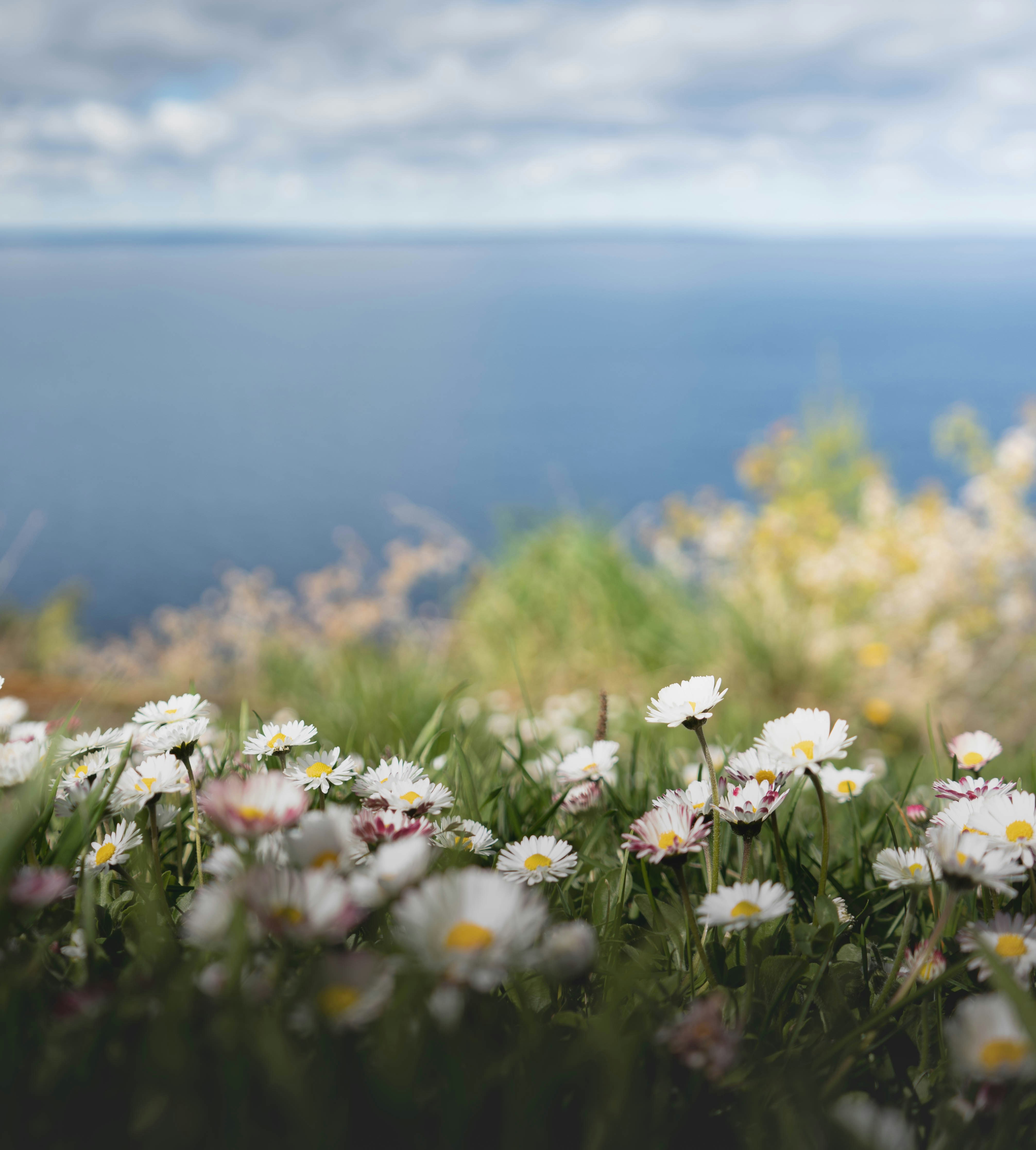 Whispers of the Coastline