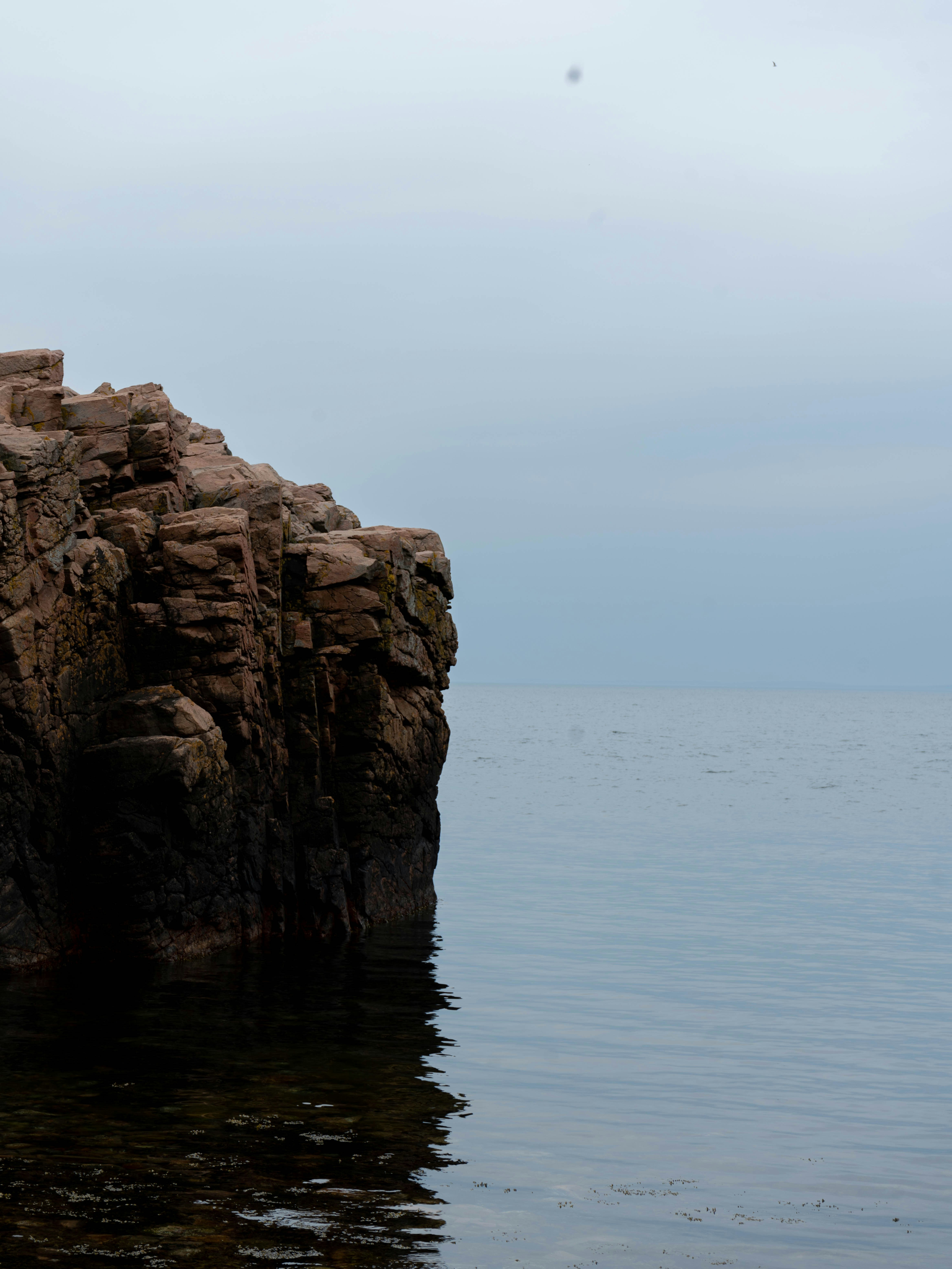 Whispers of the Shoreline: A Rocky Embrace