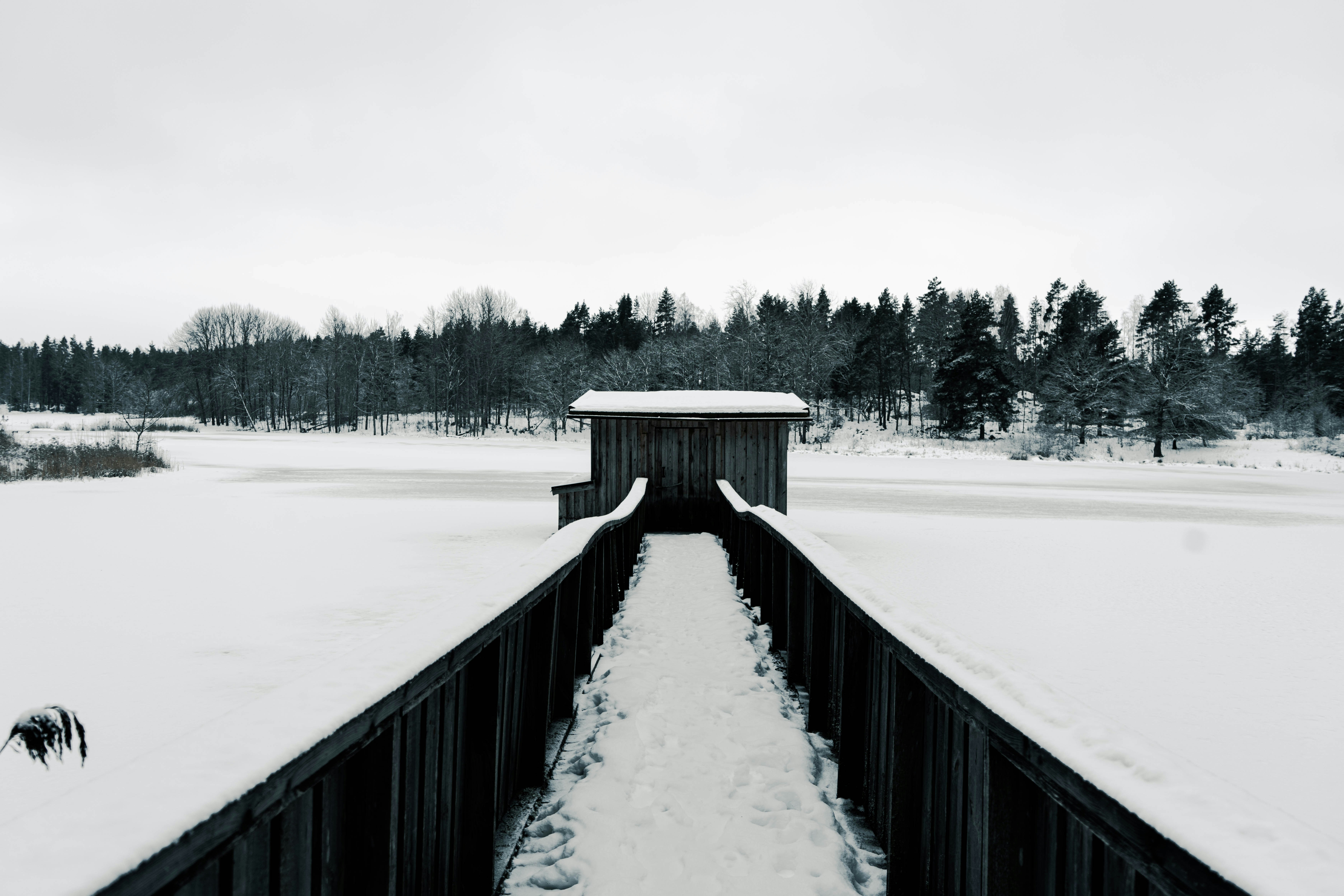 Pathway to Serenity: A Winter's Embrace