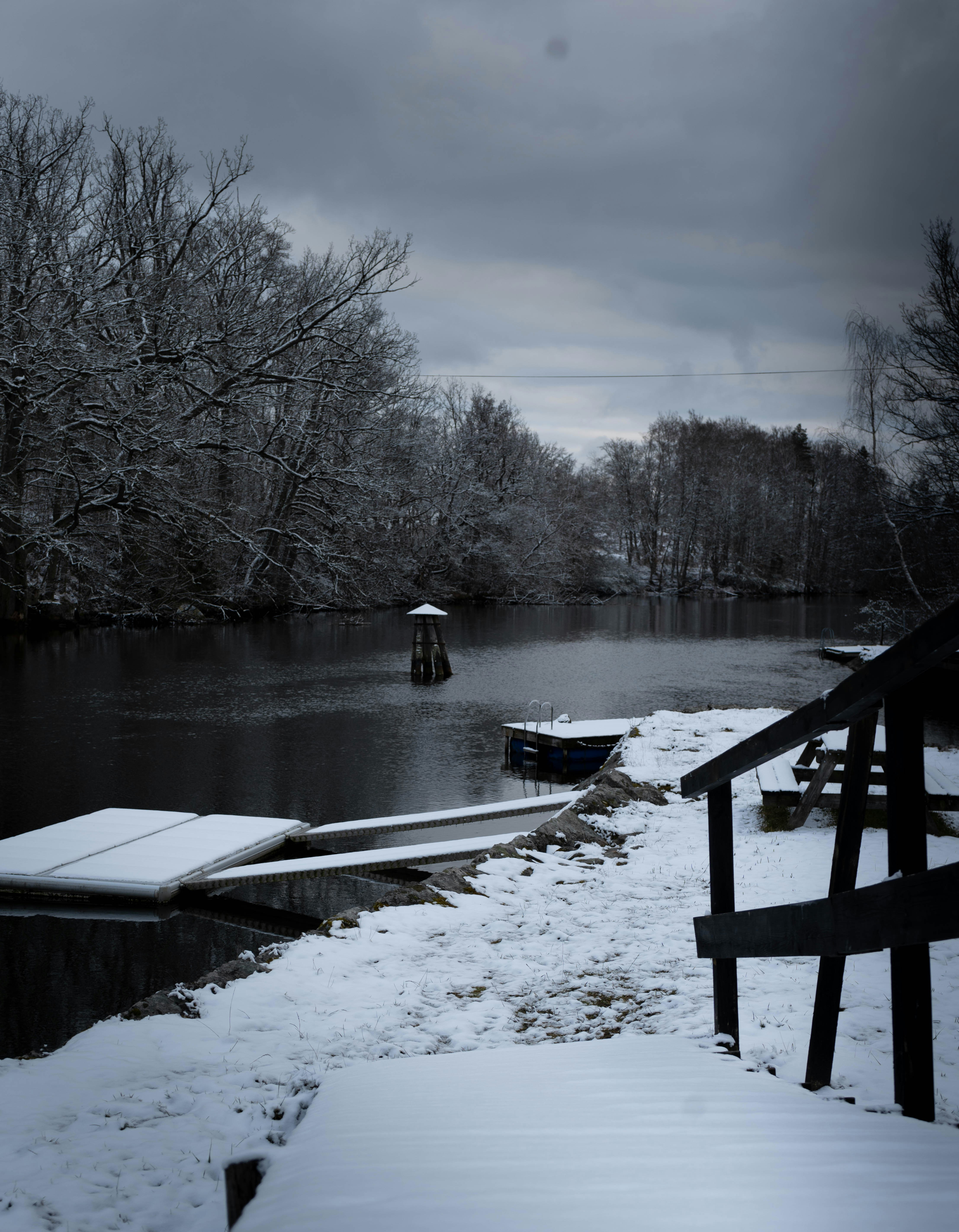 Winter's Silent Embrace