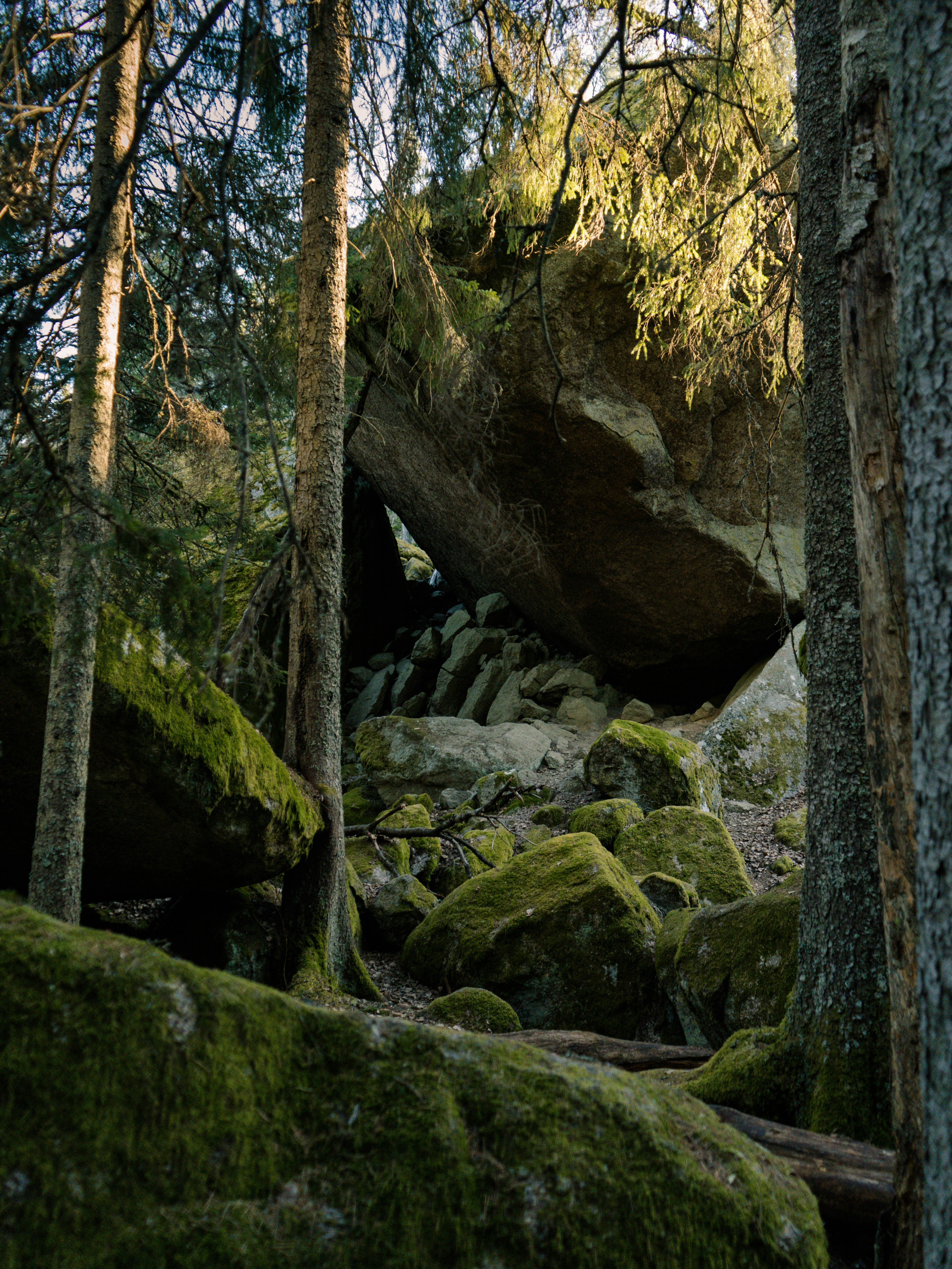 A large boulder partially concealed by trees and moss, creating a serene, secluded atmosphere in a forest setting.
