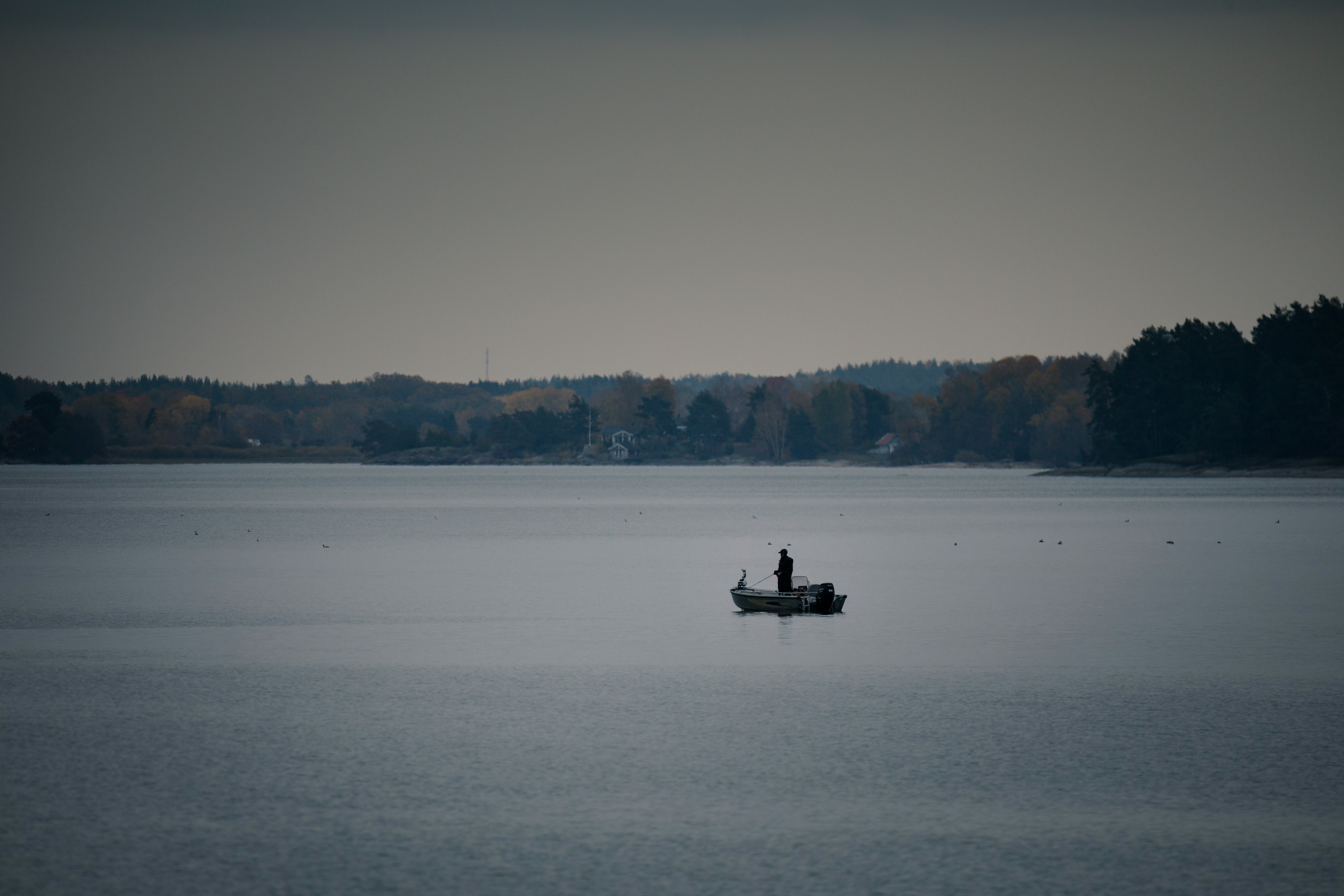 Solitude on the Water: A Fisherman's Retreat